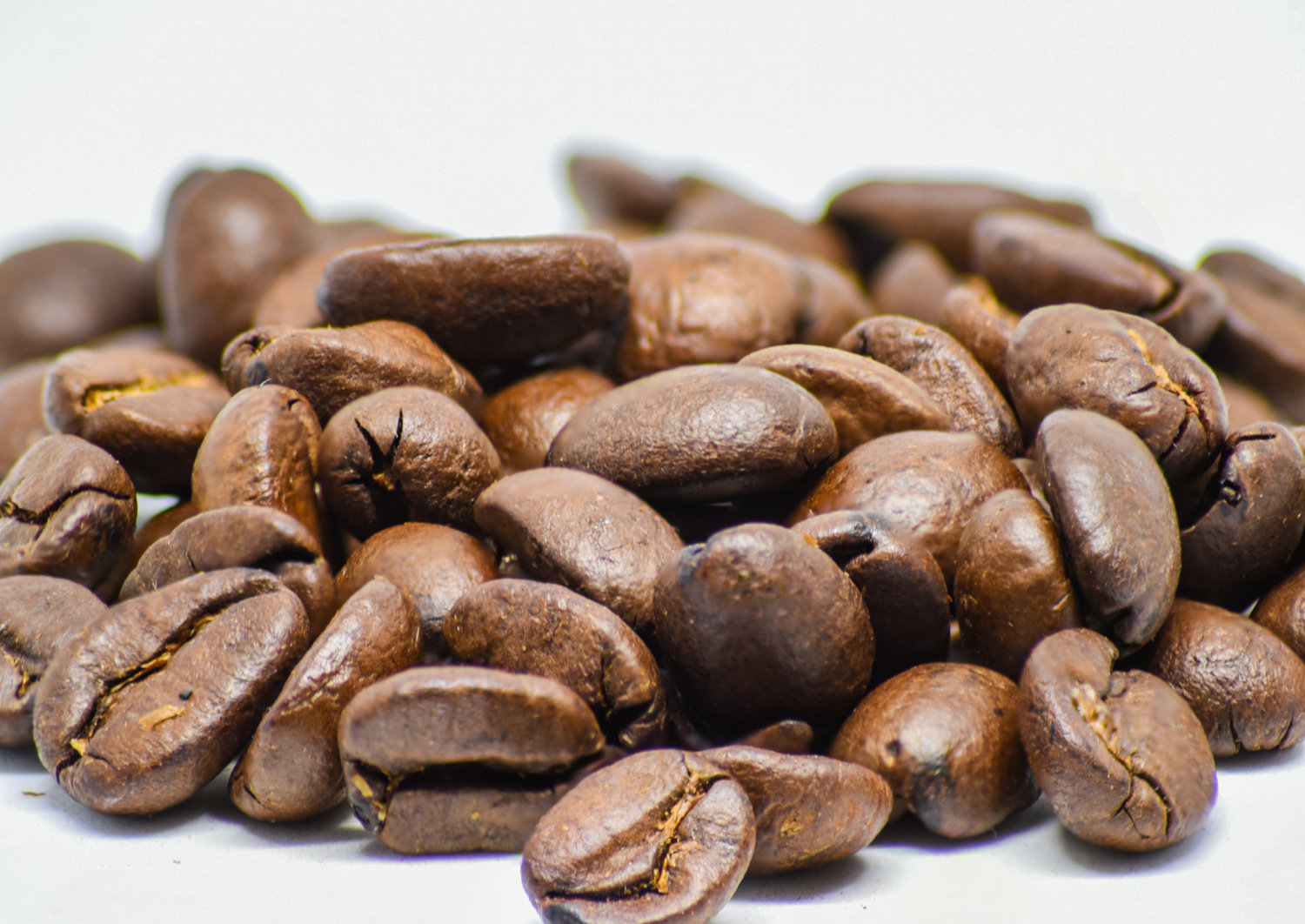 Still Life - Colors of Life Photography