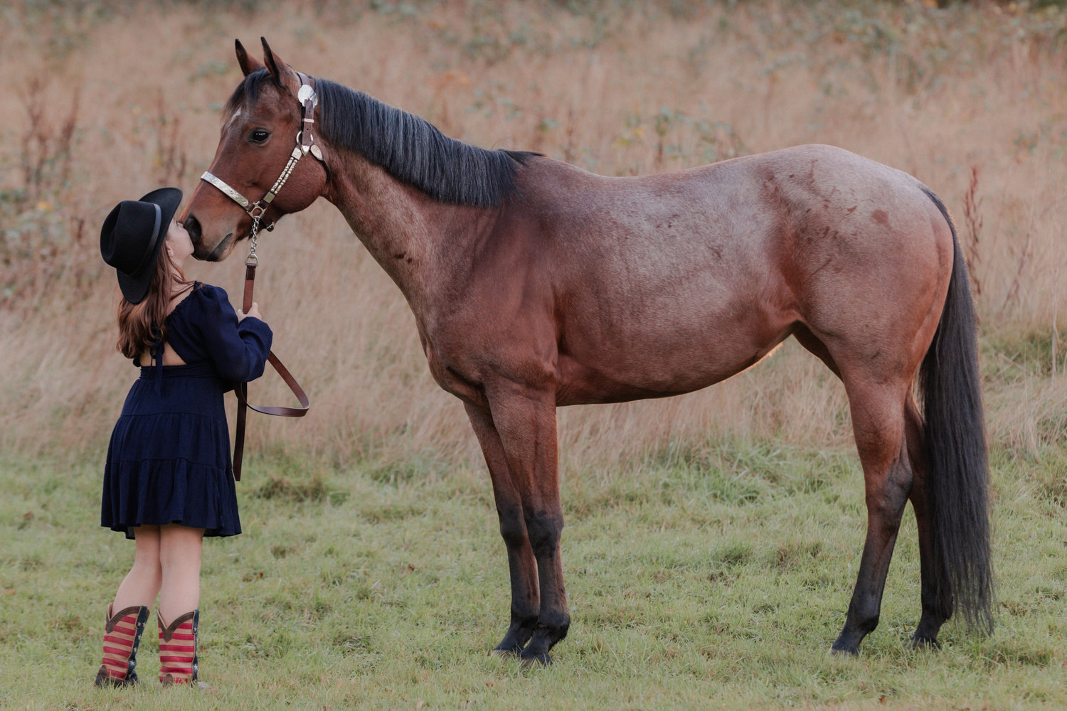 Equine - Lindsey Isom Photography