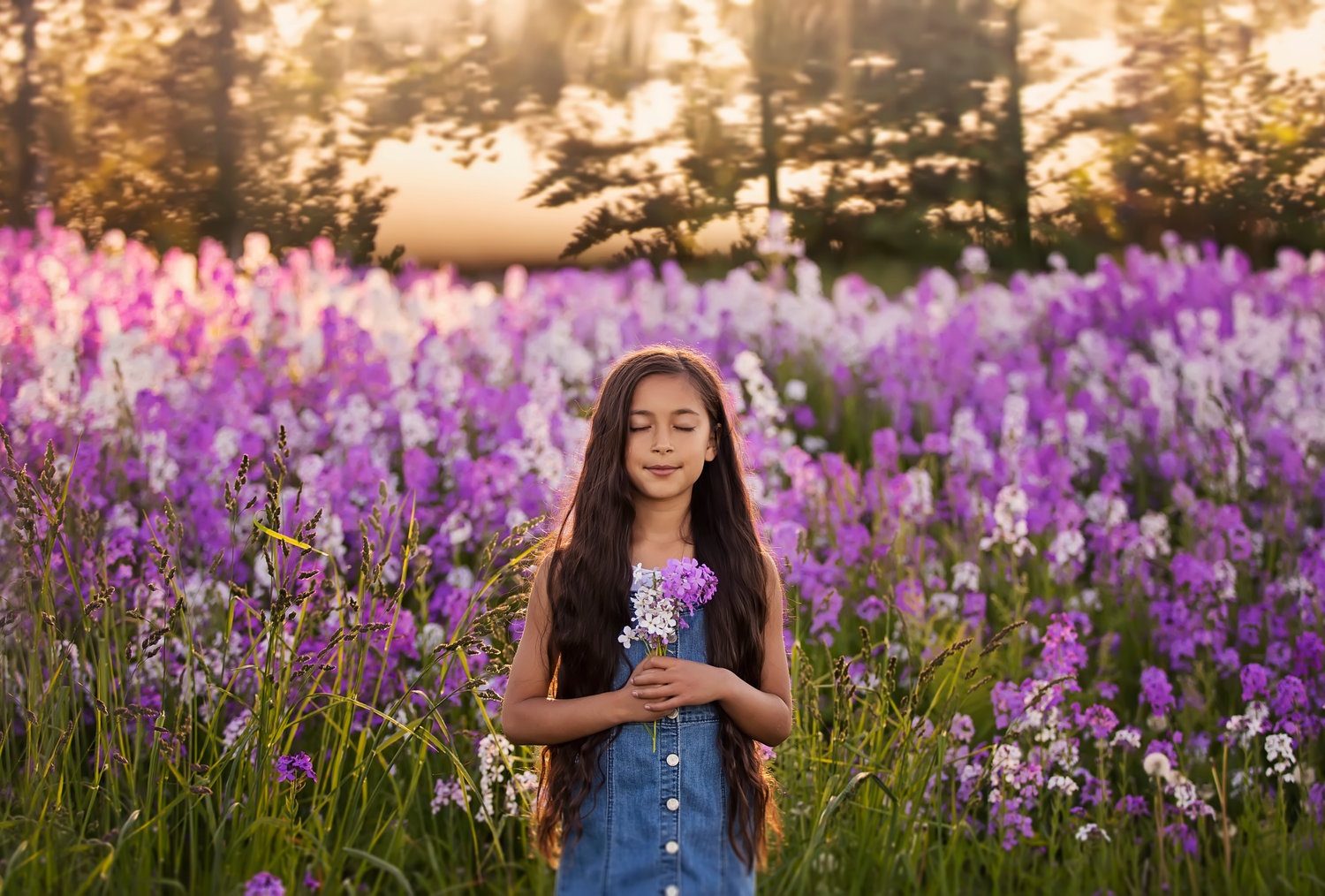 Crystal Clear Photography