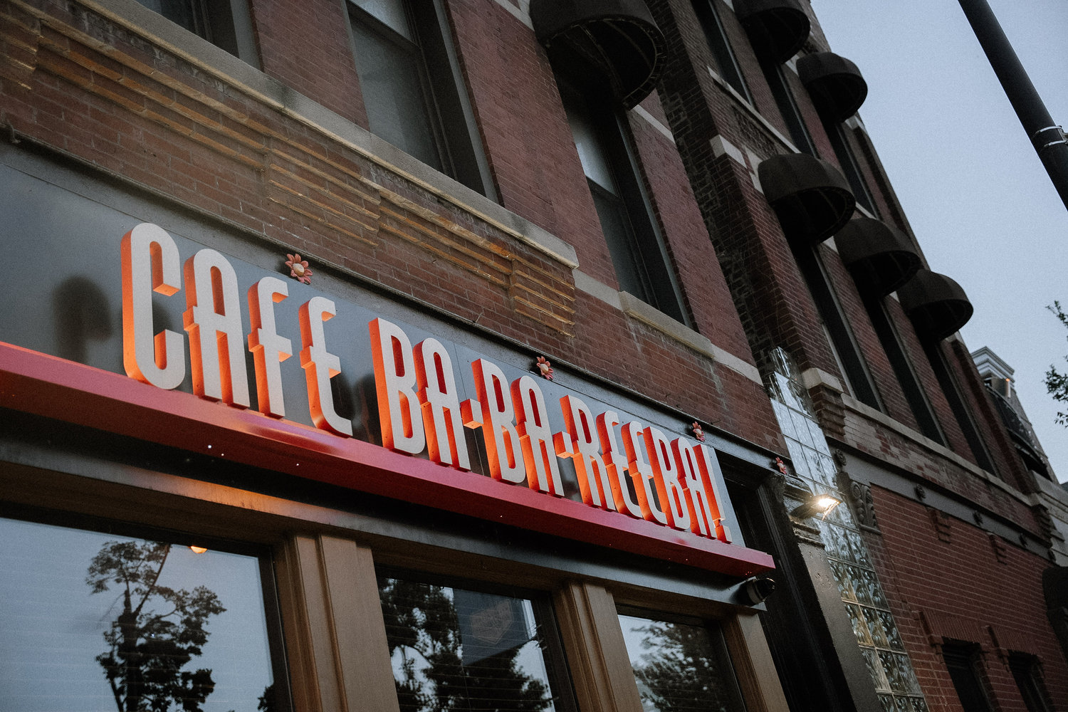 Engagement at Café Ba-Ba-Reeba: A Romantic Chicago Love Story - Albany ...