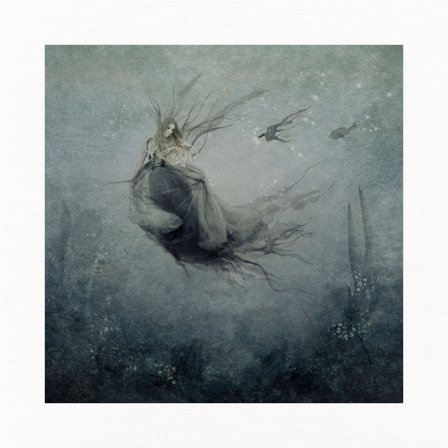 Special Release Prints - Kathryn Hopkins Artist