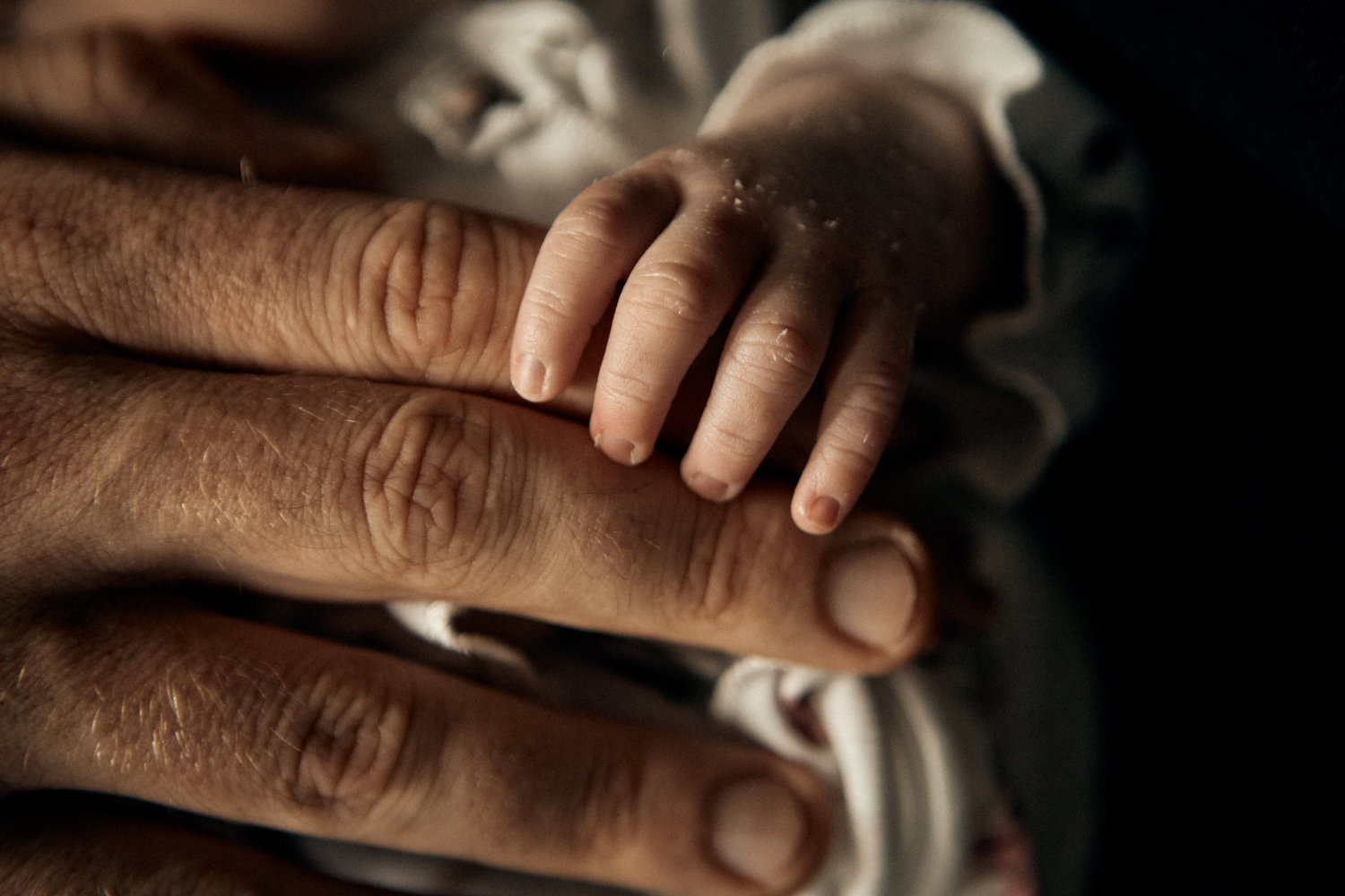 Fresh 48, Newborn, or Baby Session? Choosing the Perfect Time for Your ...