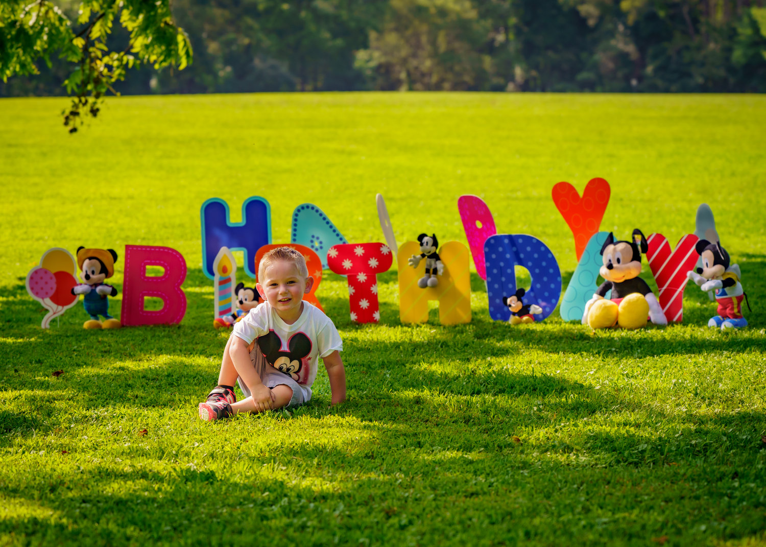 Birthday Sessions | Investment - SNS Photography, LLC