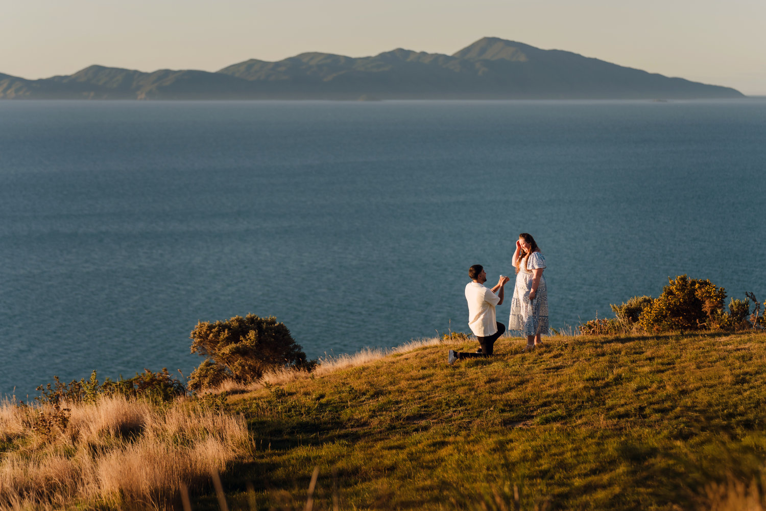 Escarpment domes Wellington | Surprise Proposal | Raman & brianna ...
