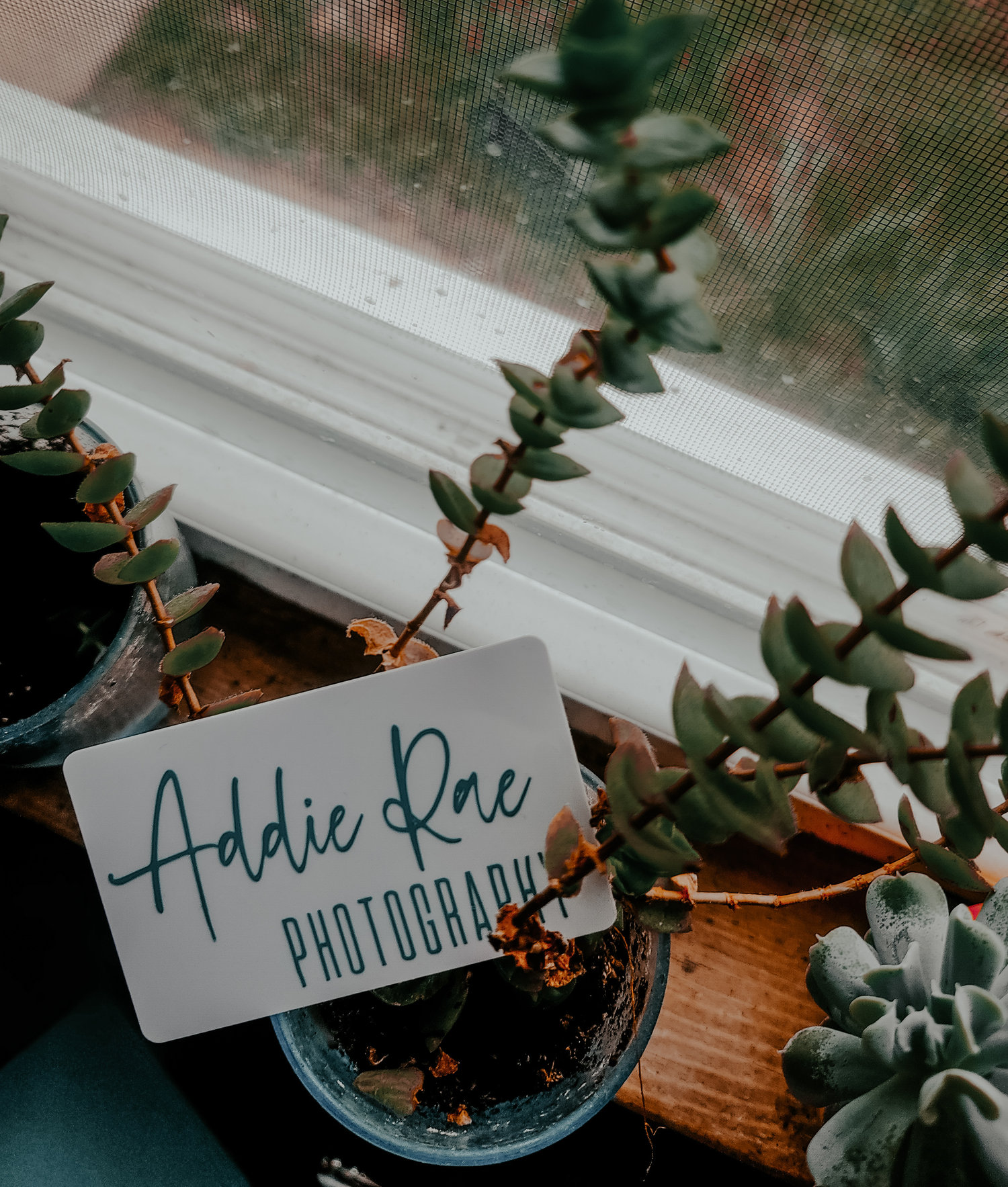 Contact - Addie Rae Photography