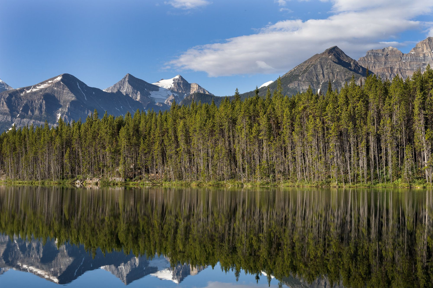 Landscape Photography - Lauren Pelesky