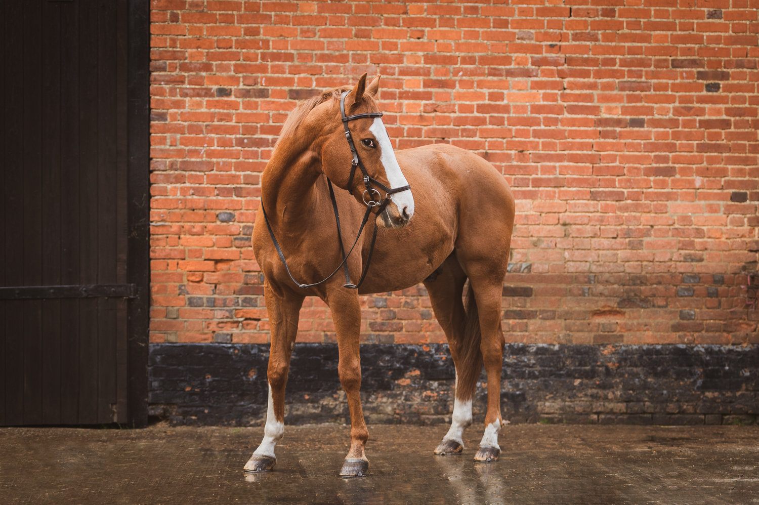 Galleries and Events - Neil Gregory Photography