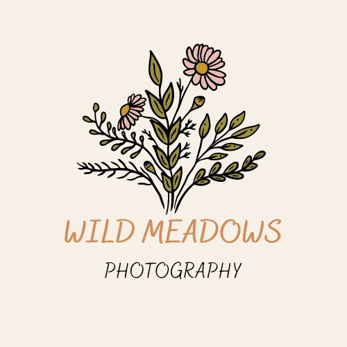 Galleries - Wild Meadows Photography