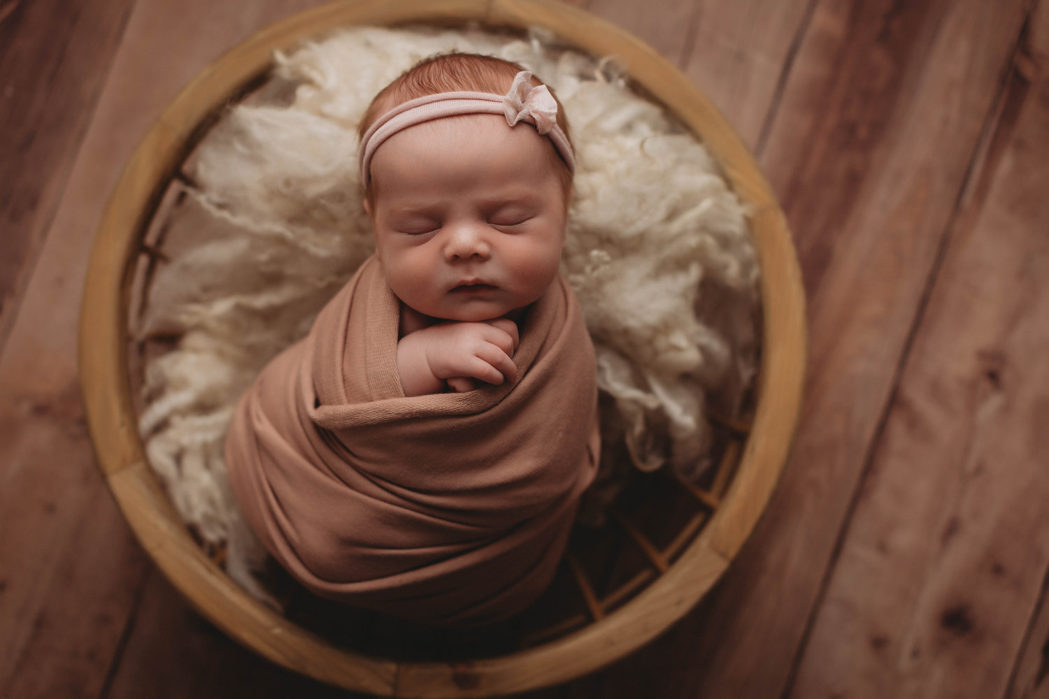 Stephanie Beatty Photography Ridley Park Photographer, Delaware County, Pa