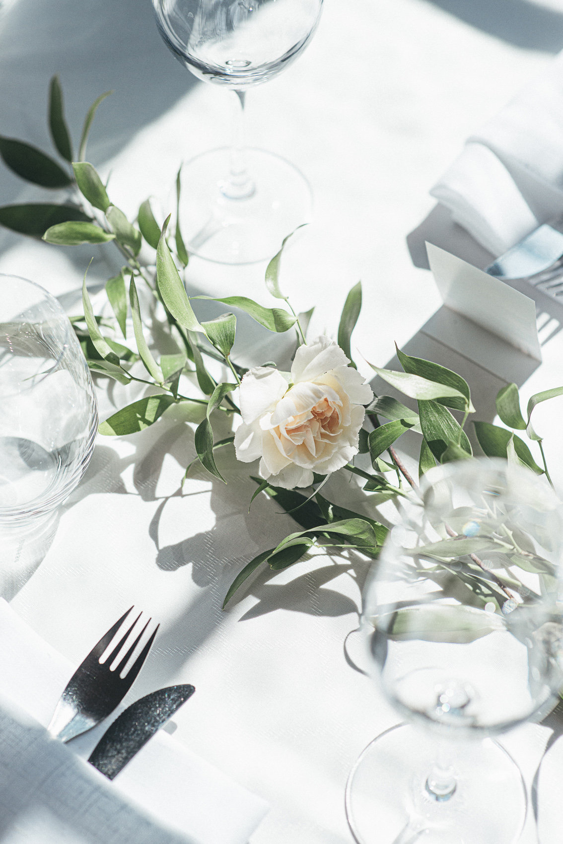 Packages & Pricing - Matt Linden Photography