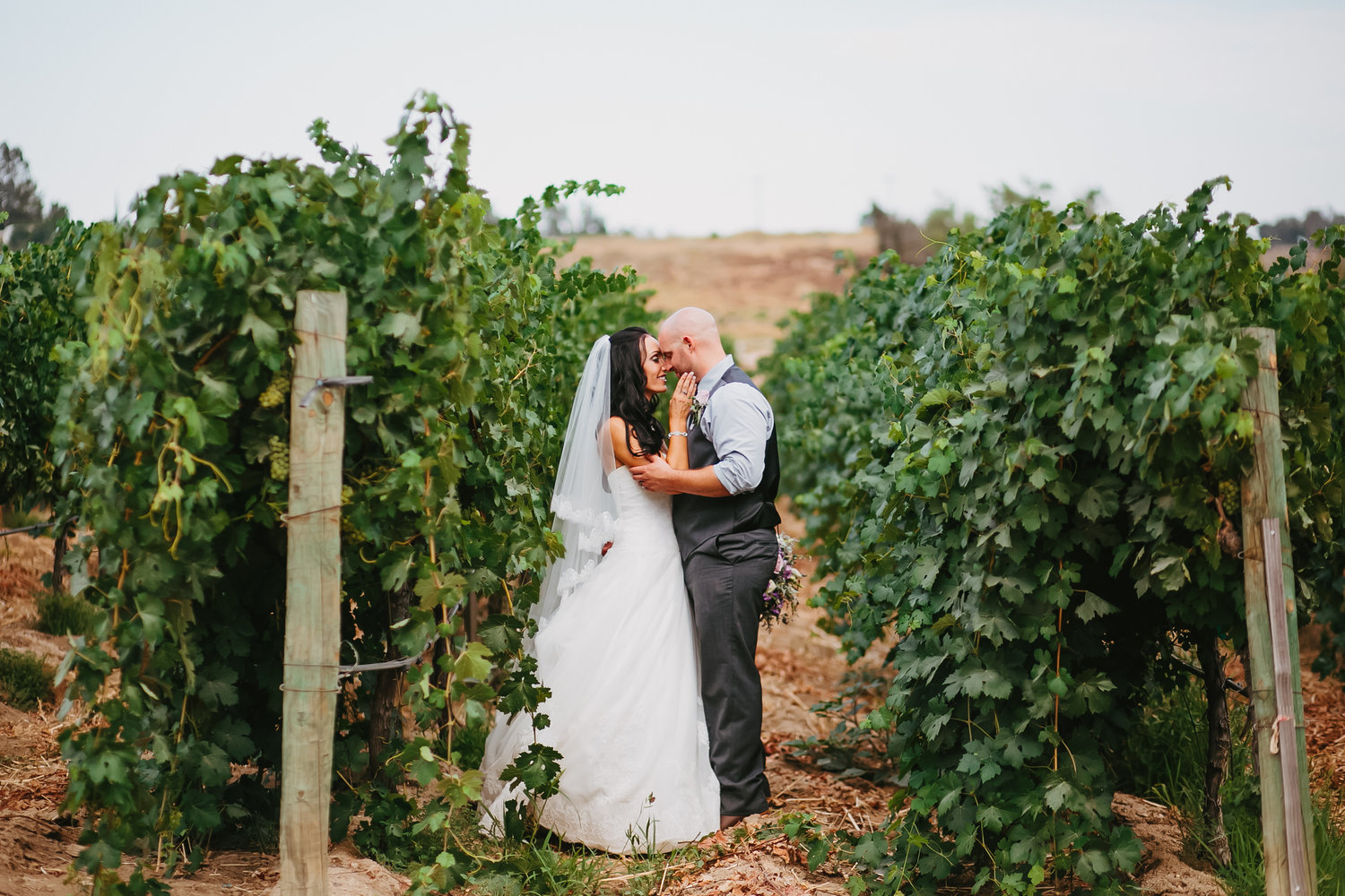Peltzer Winery Wedding Photos