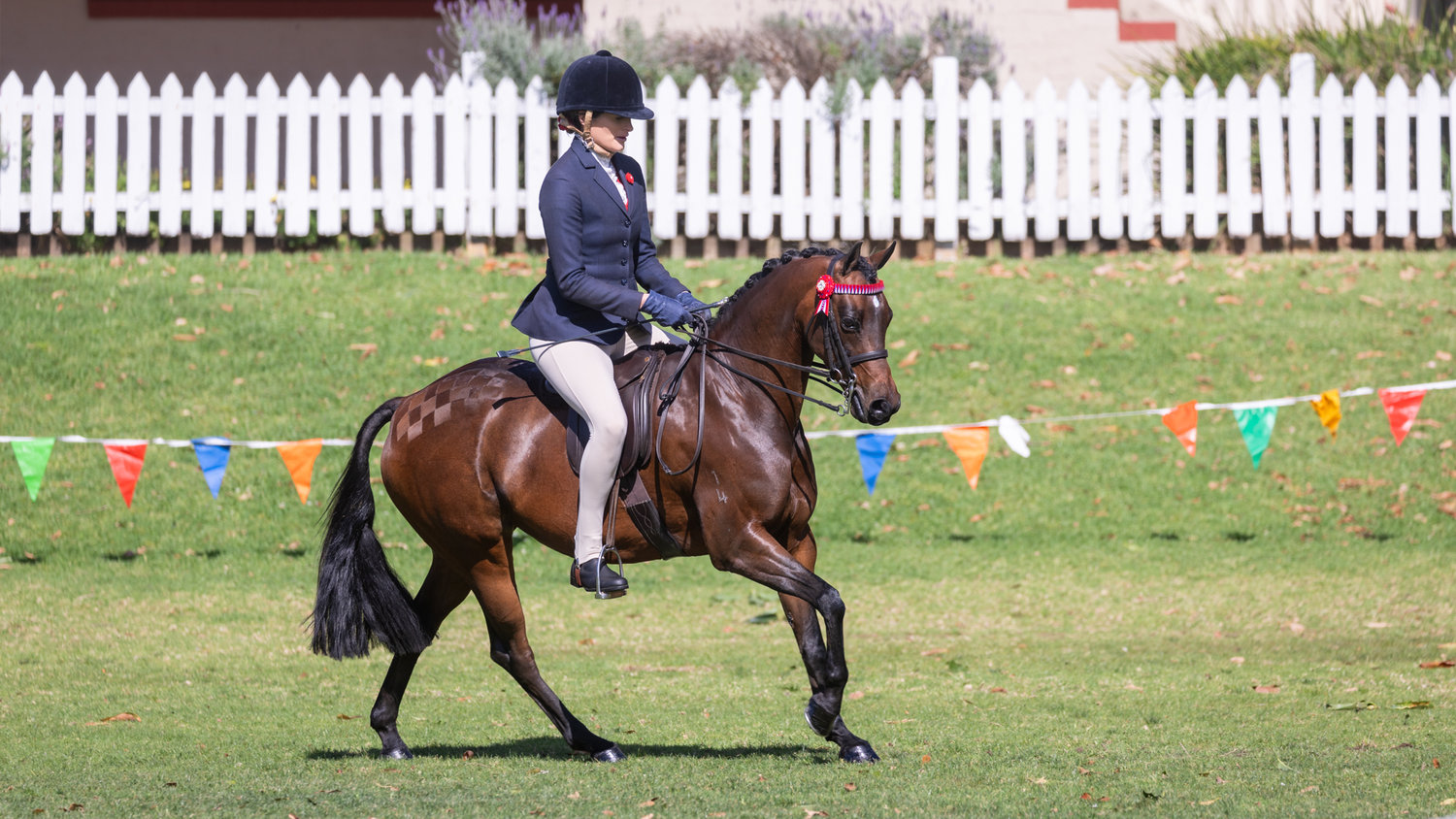 Berry Spring Show 2023 - Simon Scully Photography