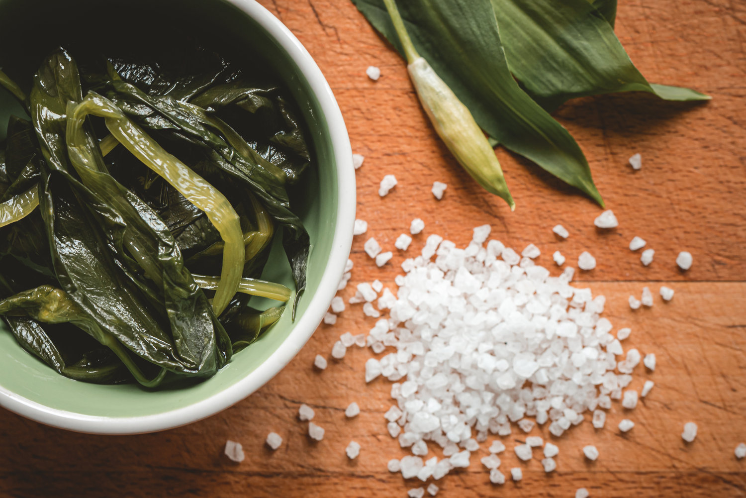 Recipes: Fermented Wild Garlic Recipe - The Grizzly Forager: The ...