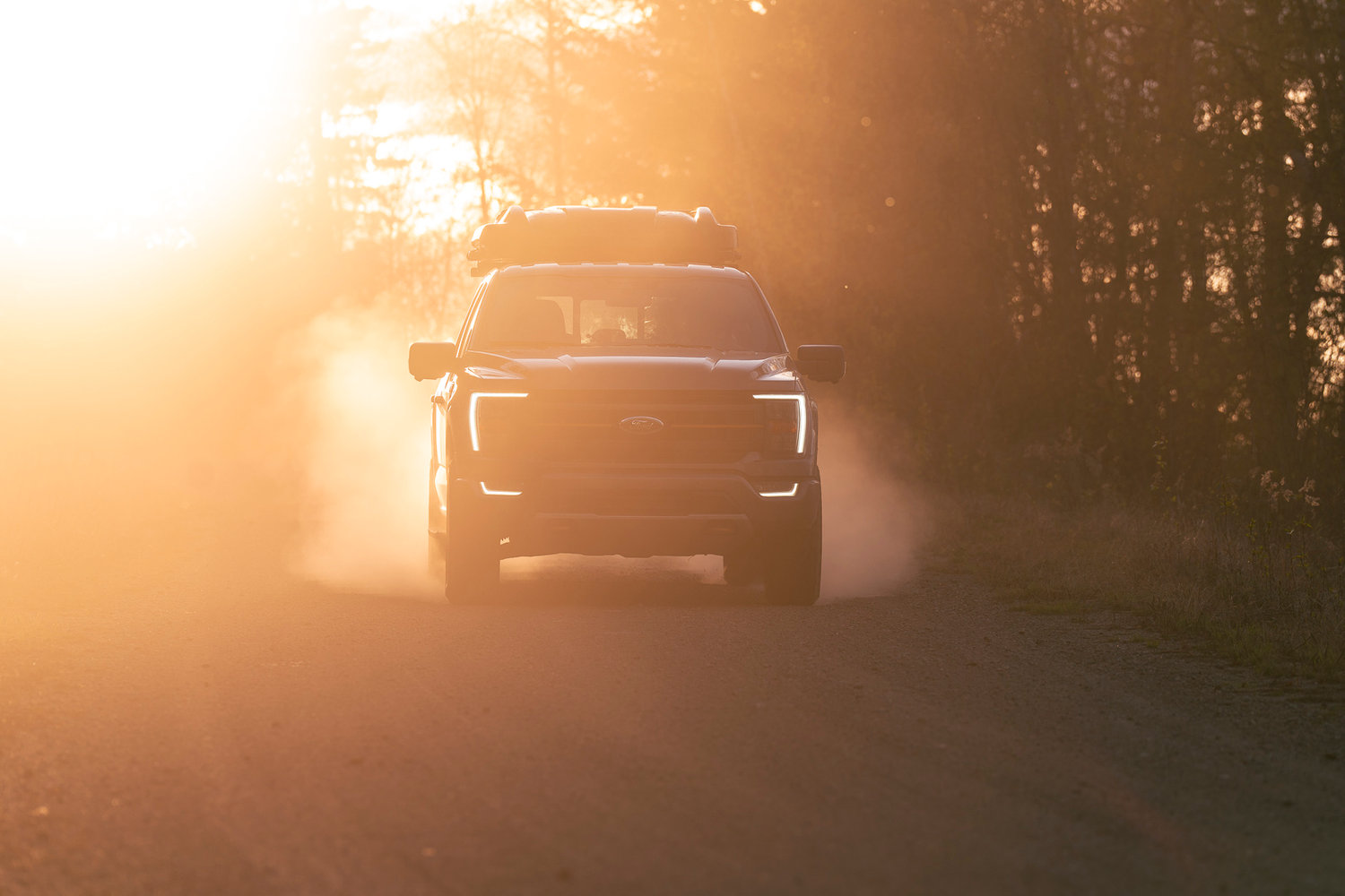 Recent Work - Lael P Johnson Photography