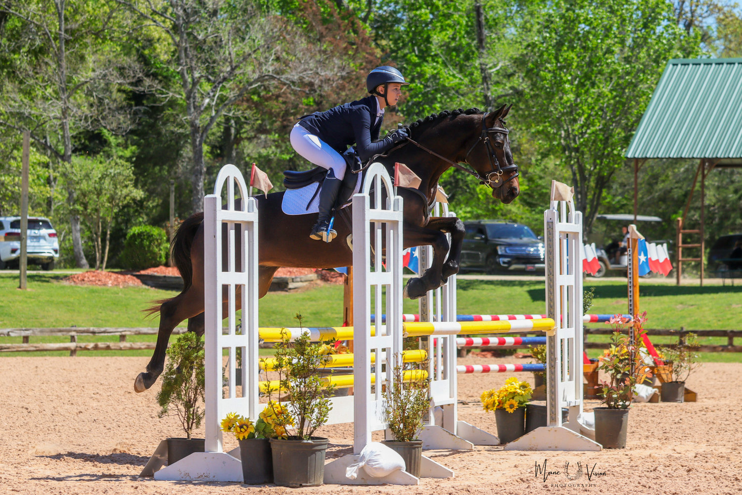 Show Jumping - Mane Vision Photography