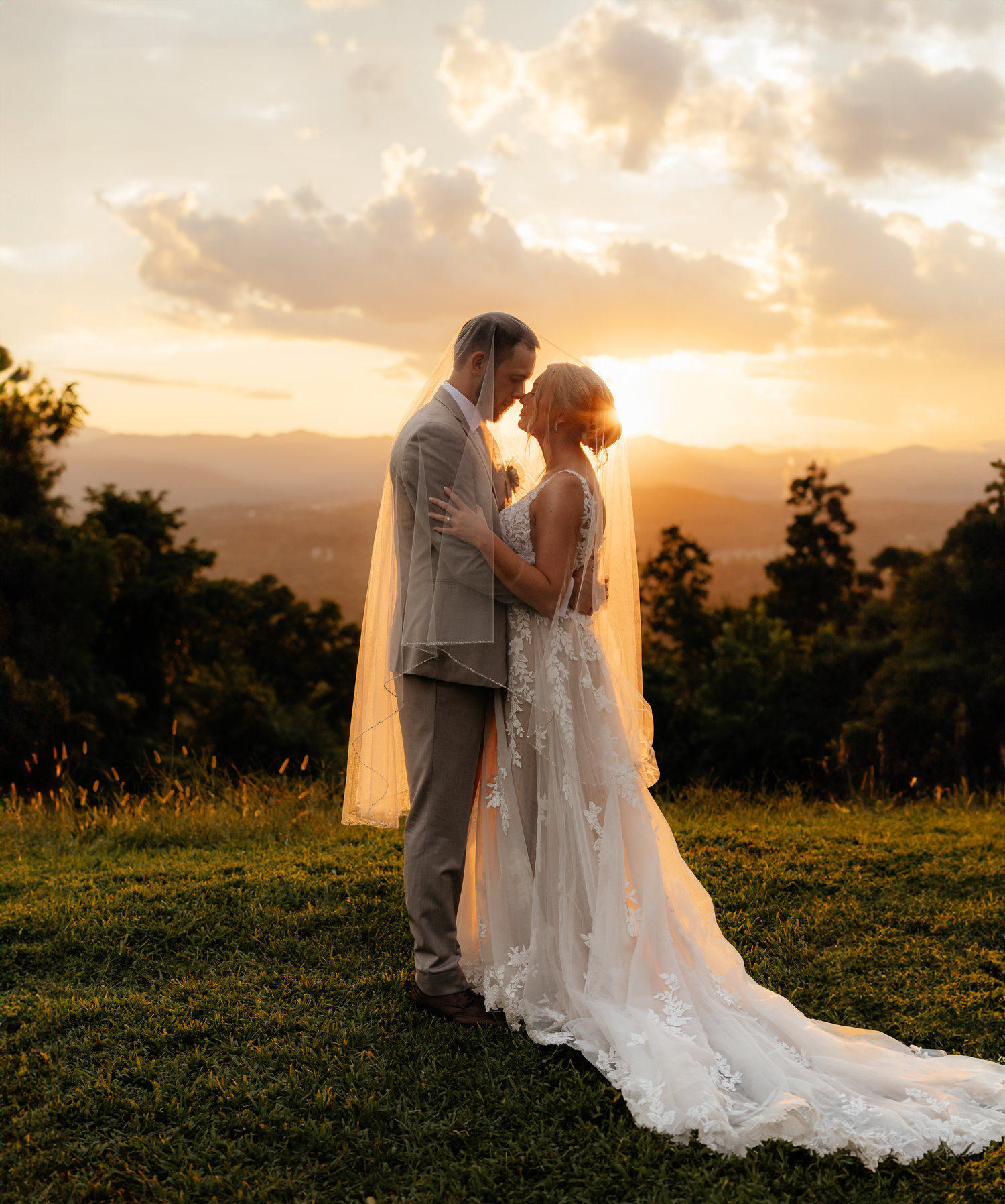 Asheville Wedding Photographer Allison Wilson Photography