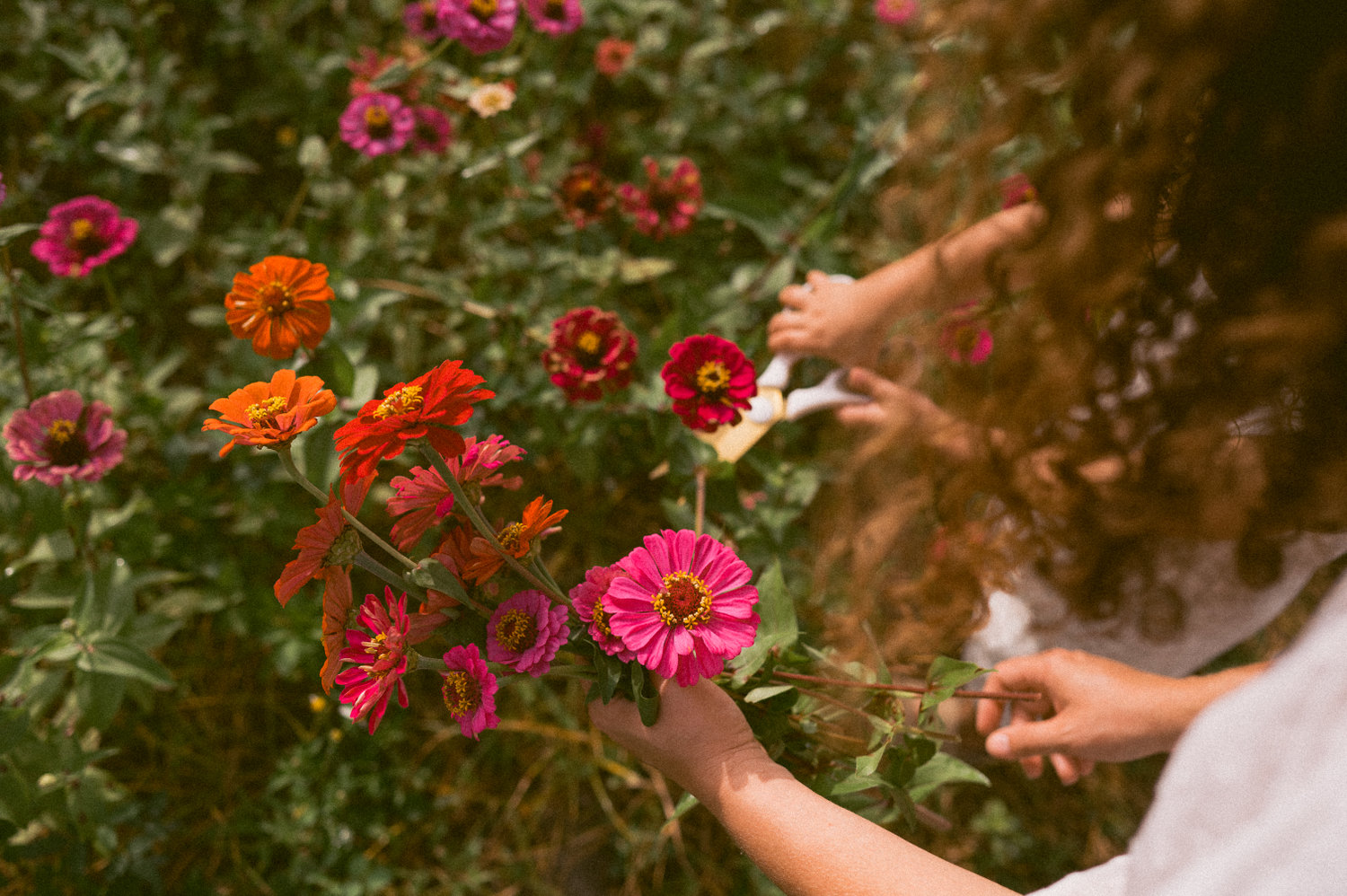 Hadasha Braga Photography