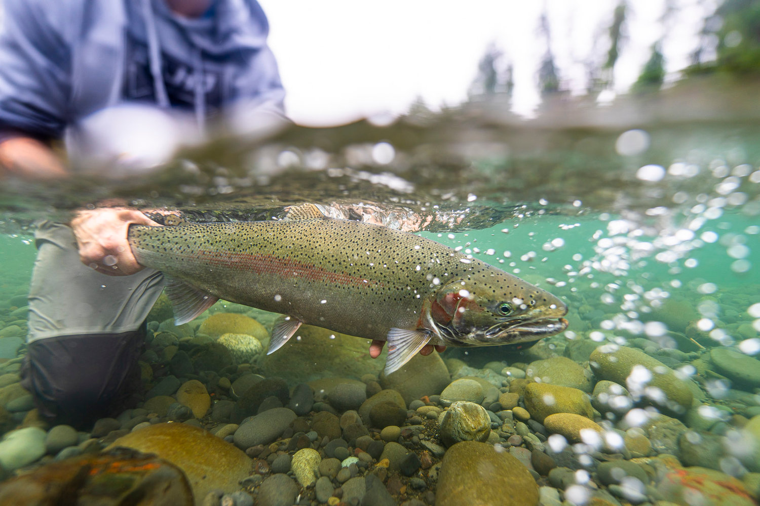 Lael P Johnson Photography