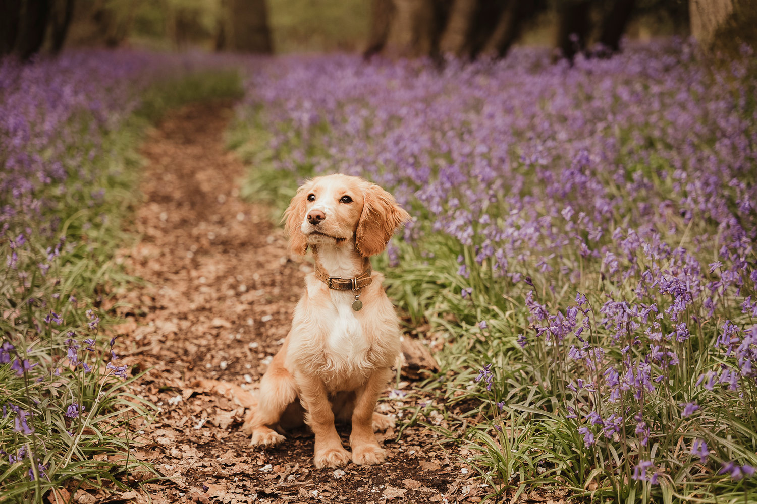 Contact - Emily Kearns Photography