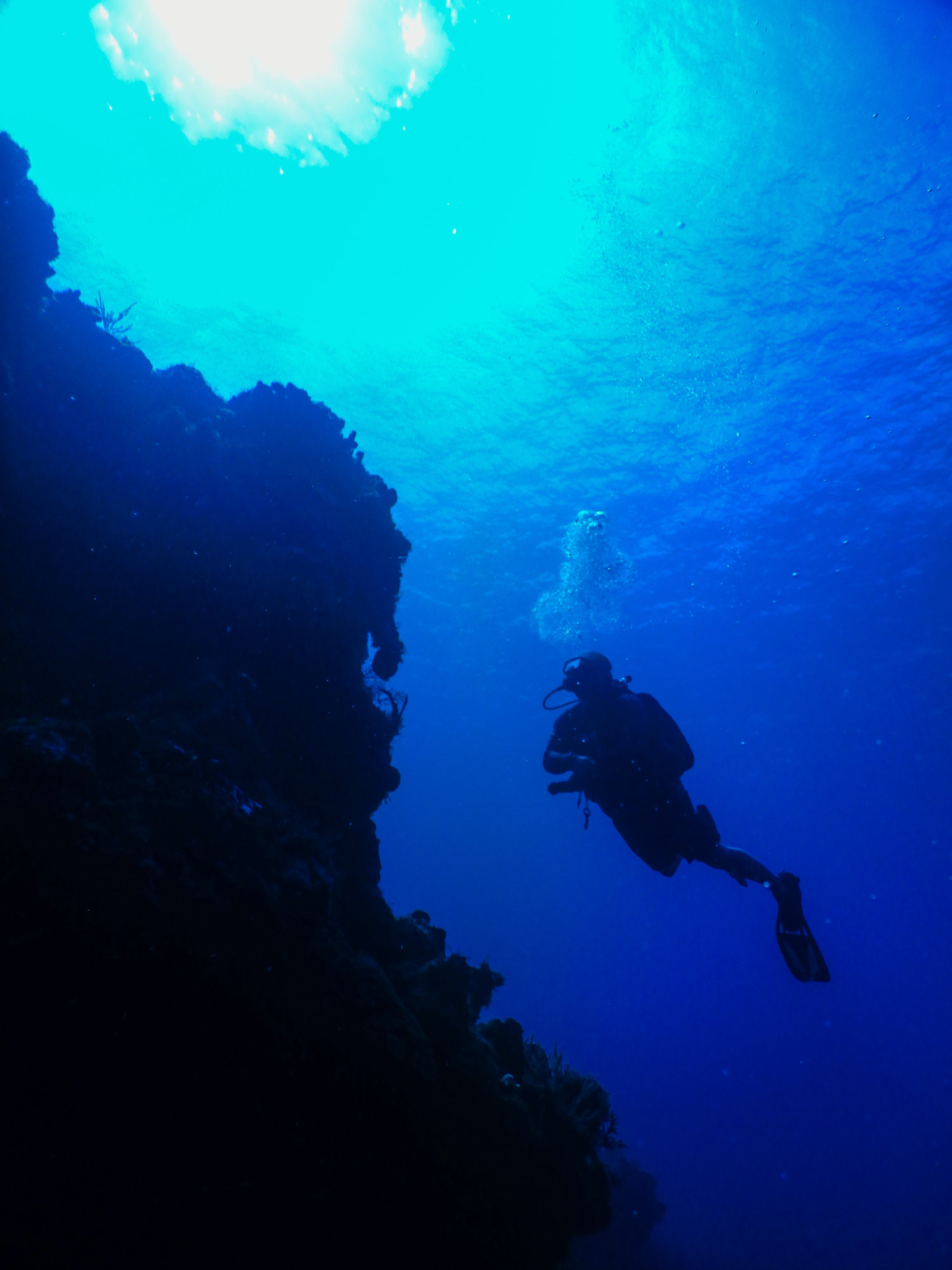 Diving Cozumel With Aldora Divers - Jacobgrahamphotography
