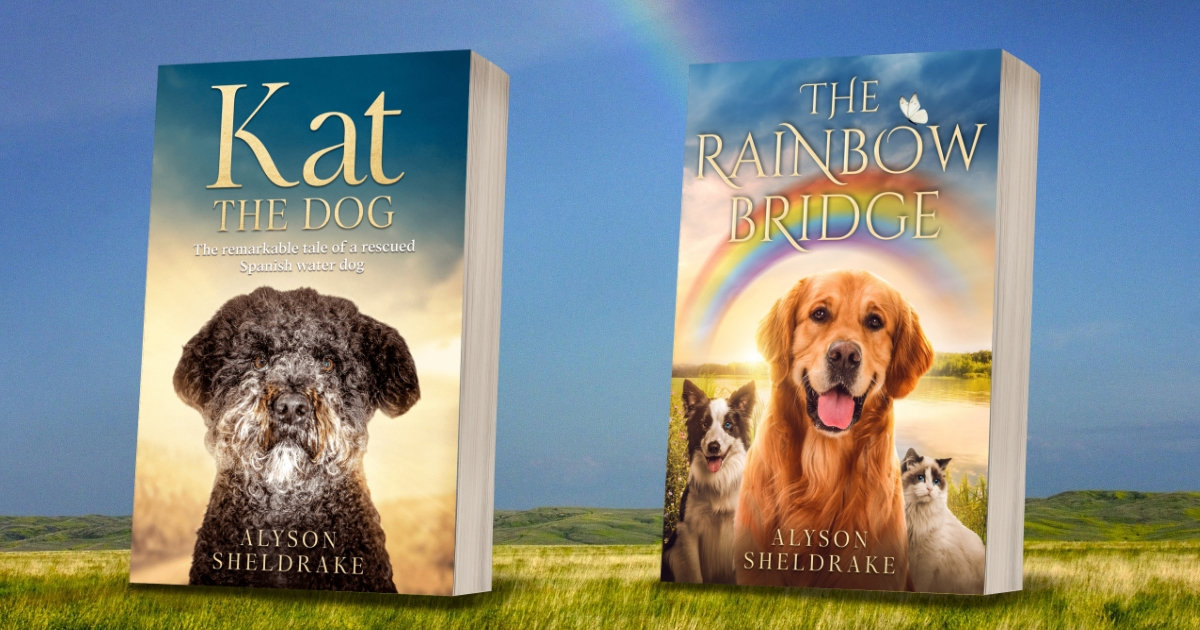 Books - Alyson Sheldrake