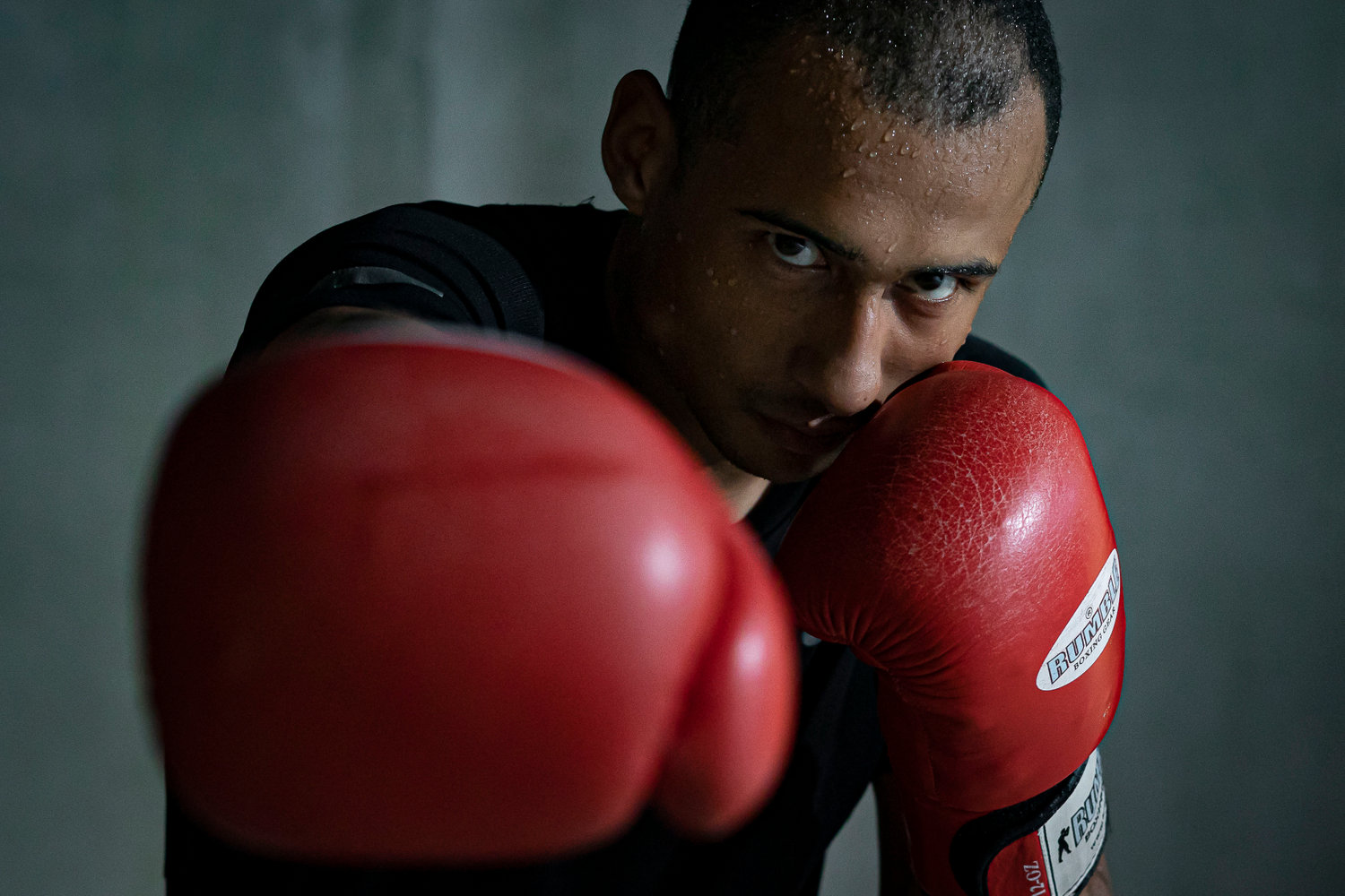 Sam - Peter van Geest