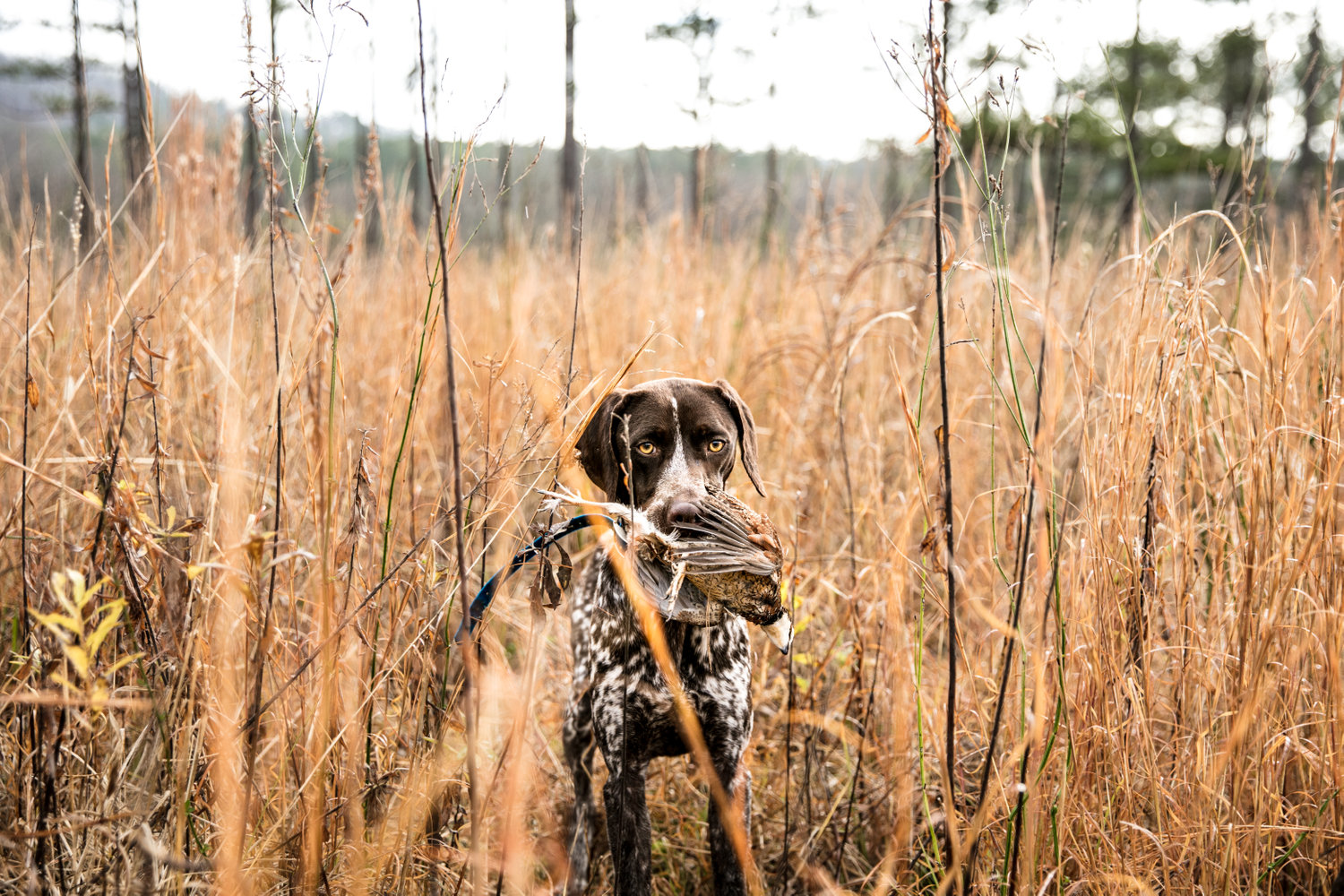 Editorial - Godwin Photography