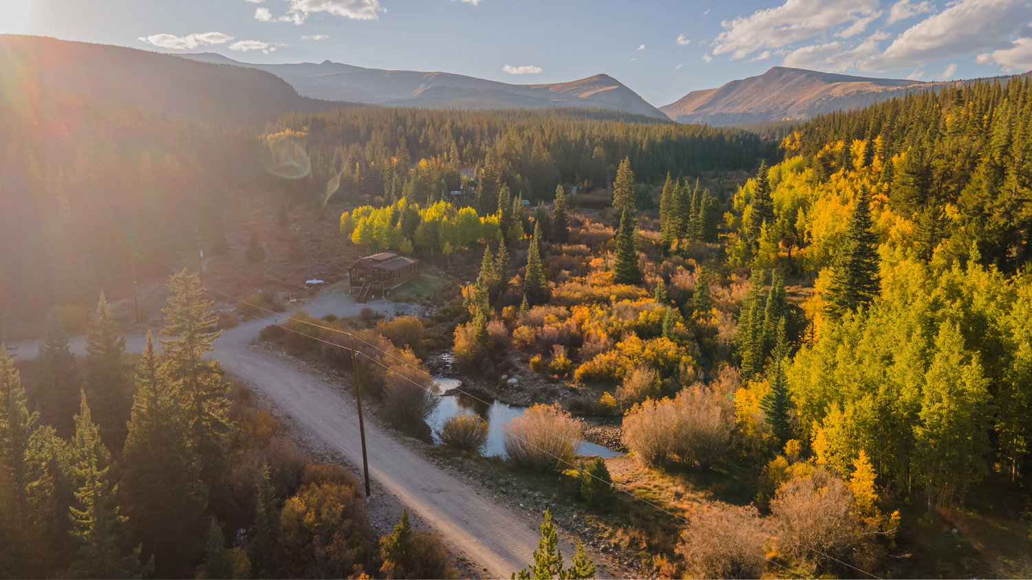 Contact - Canopy Creative Professionals