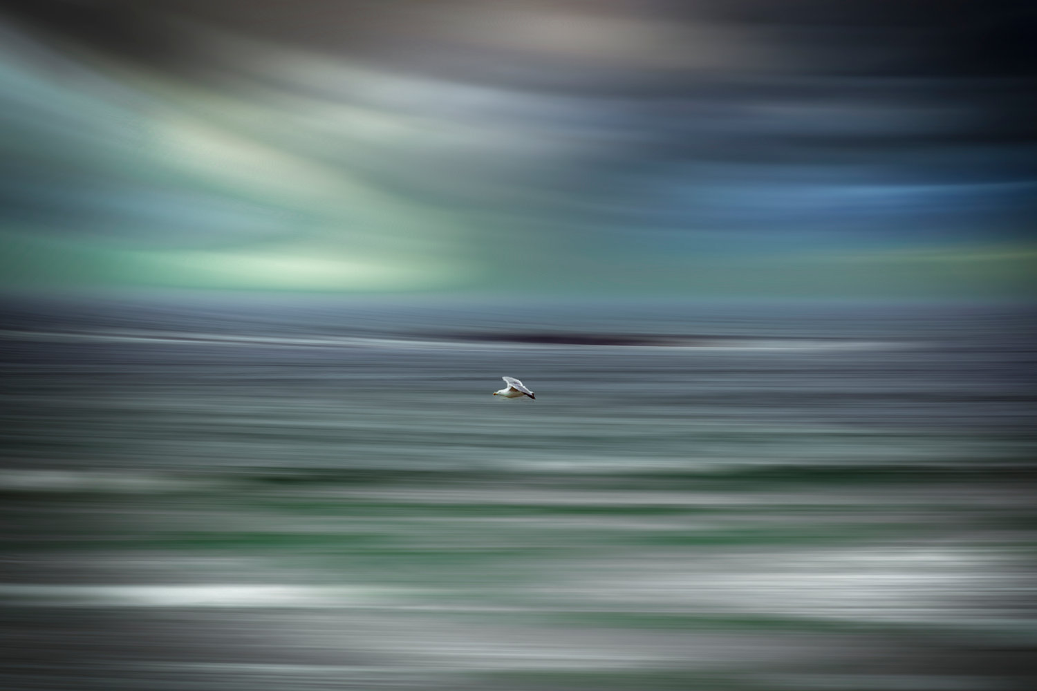 Mark D.G. Photography | Fine Art for Collectors