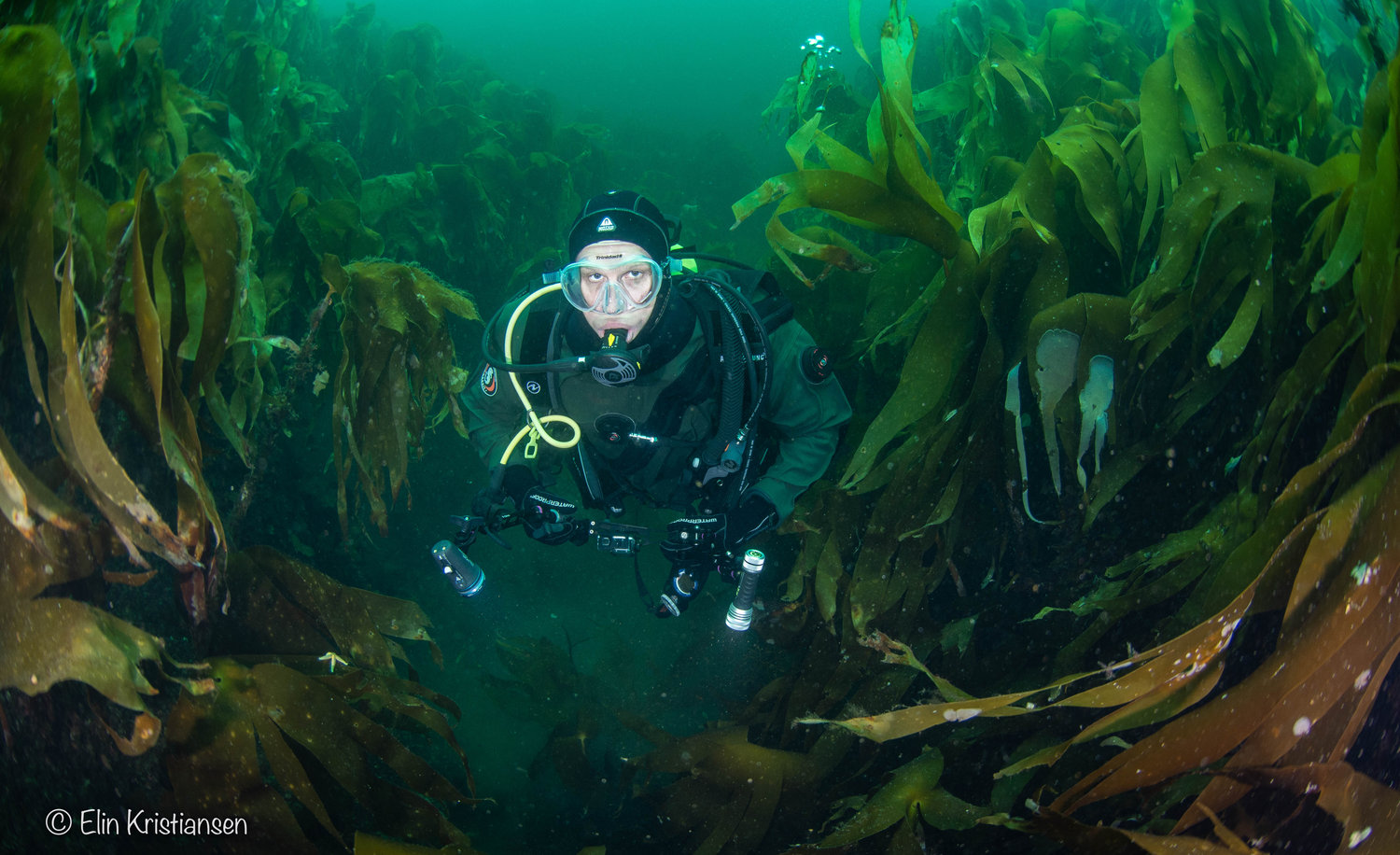 Underwater Norway - Into the Blue Photo