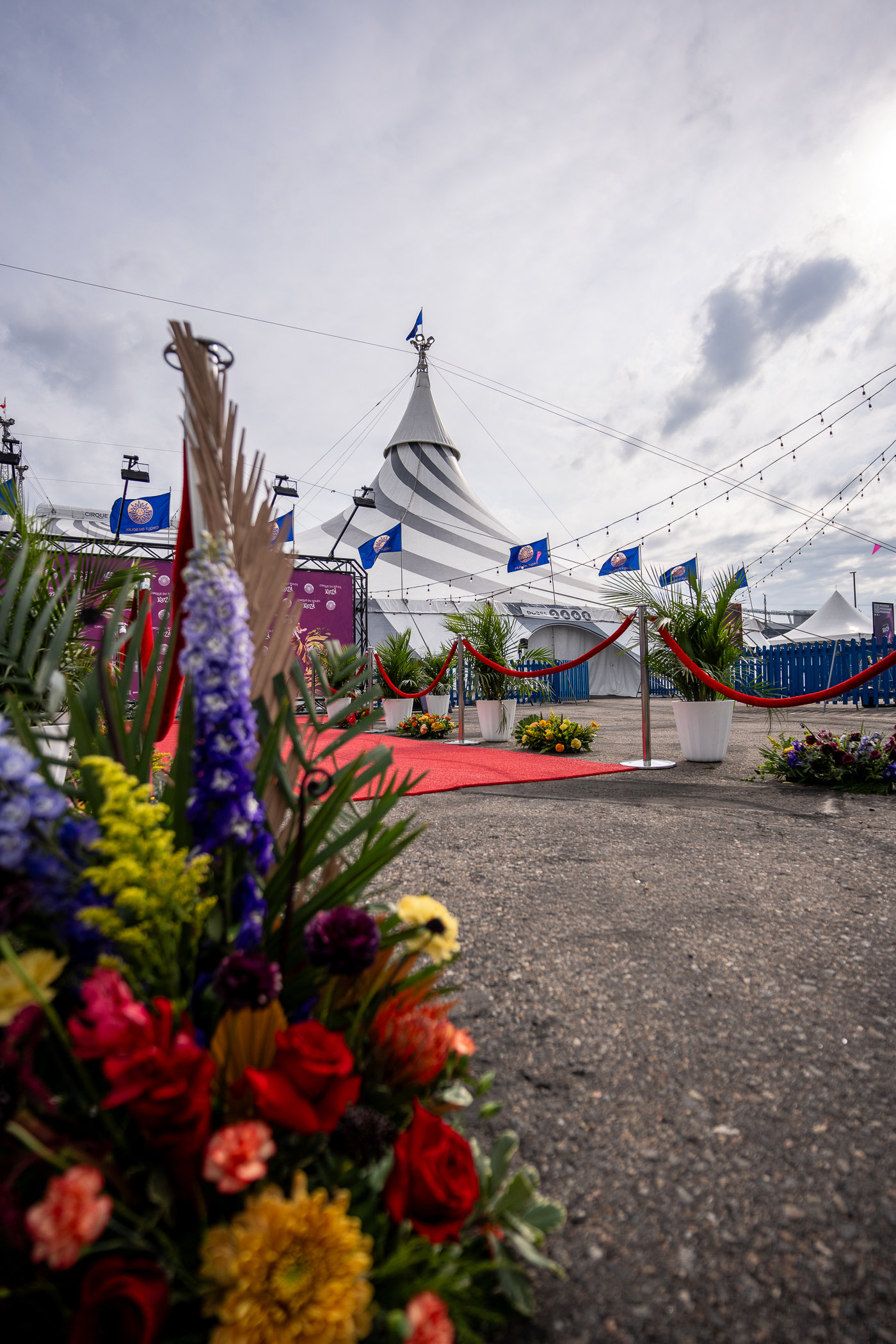 Cirque Du Soleil - fearless florals | colorado wedding florist