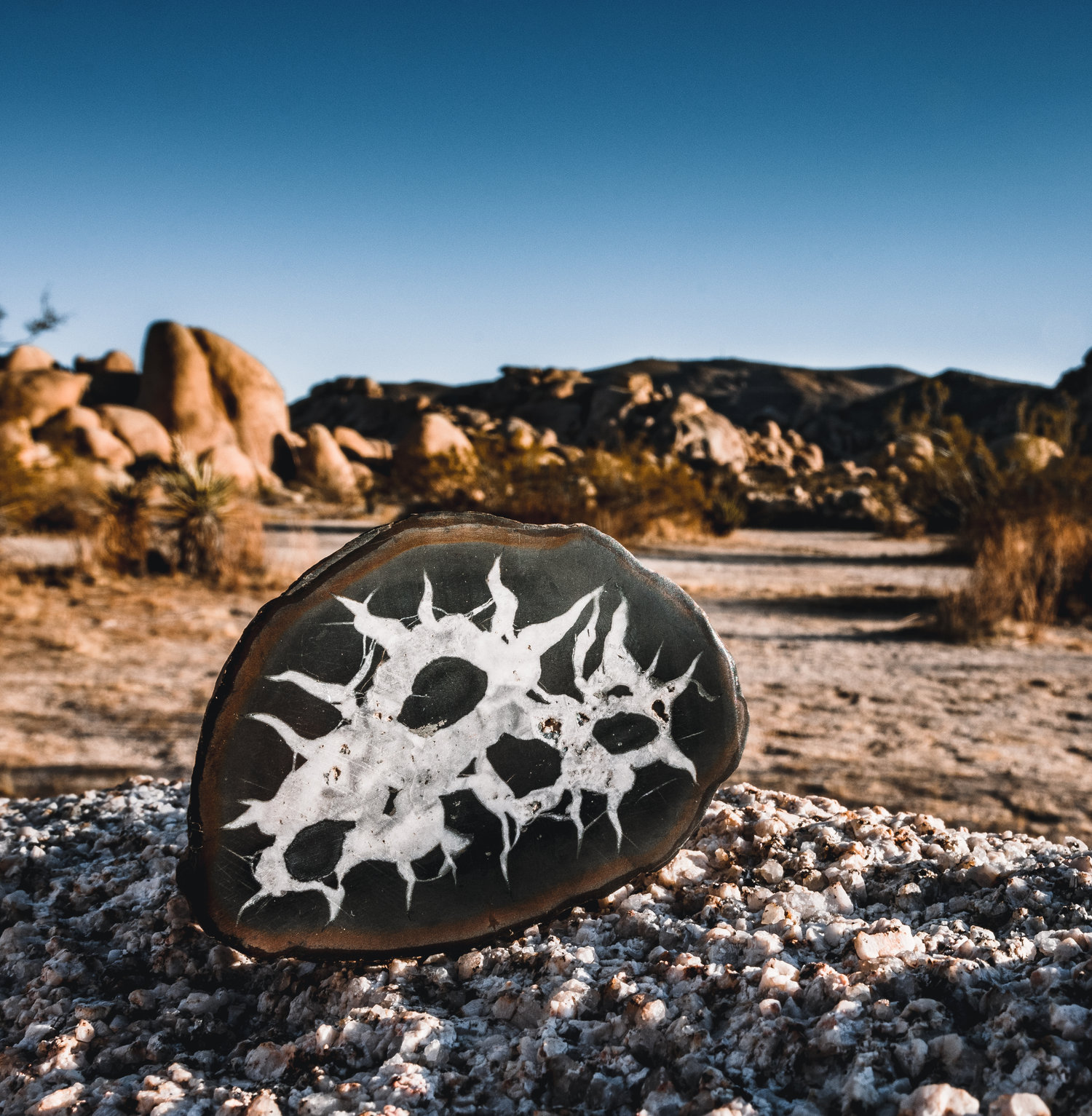 Septarian Meaning, Properties, and Benefits. - Geology Rocks Pittsburgh