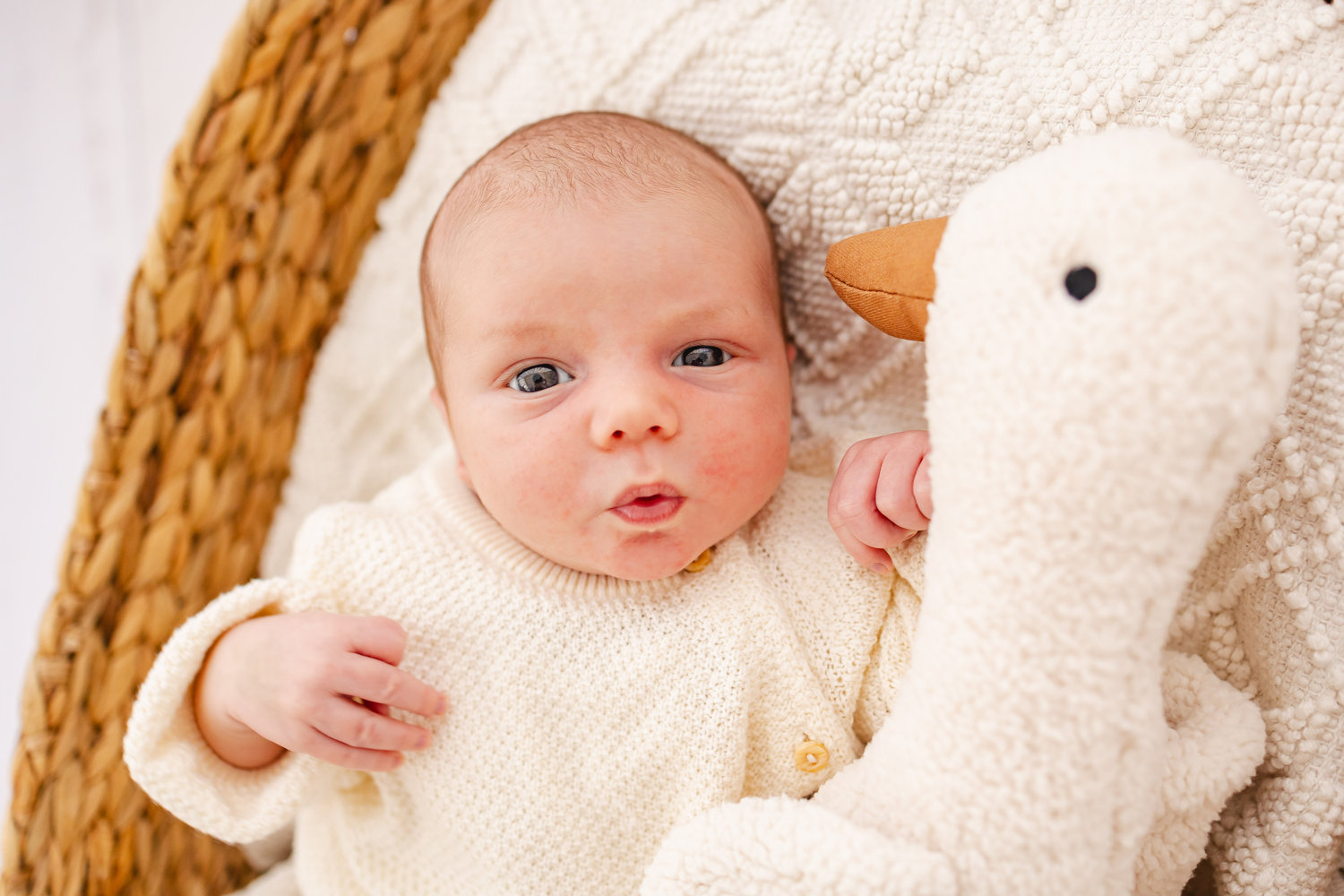 Everyone has a Story - Inês Valente Fotografia