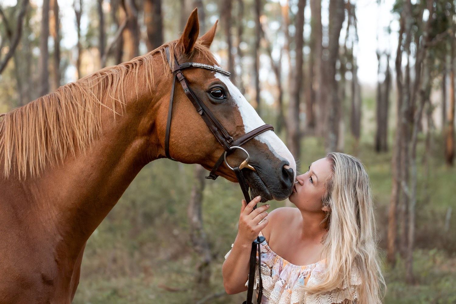 About Leo - Horse Photoshoot without owning one - Hergott Photography ...