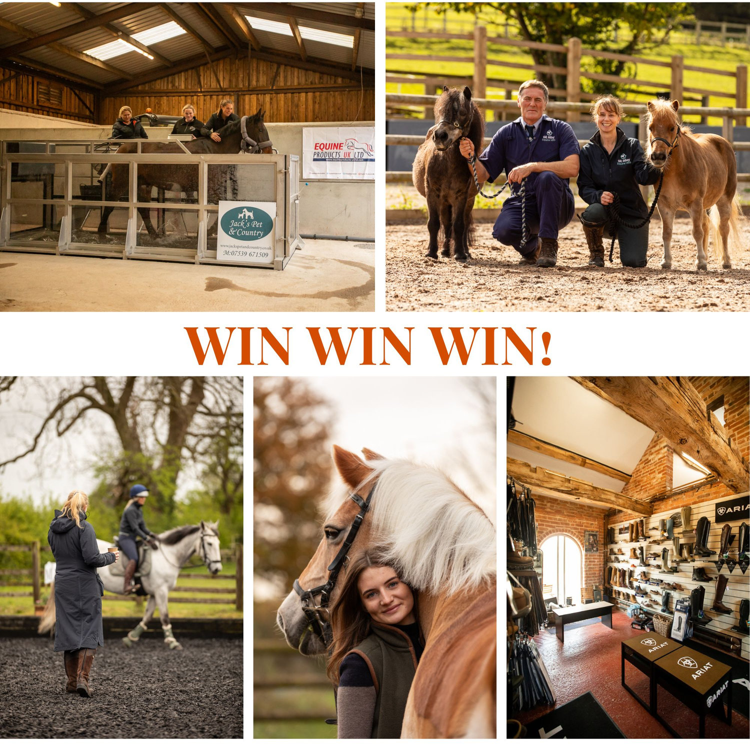30th Bday Giveaway! - Imogen Moon ABIPP - Equine & Dog Photographer In ...