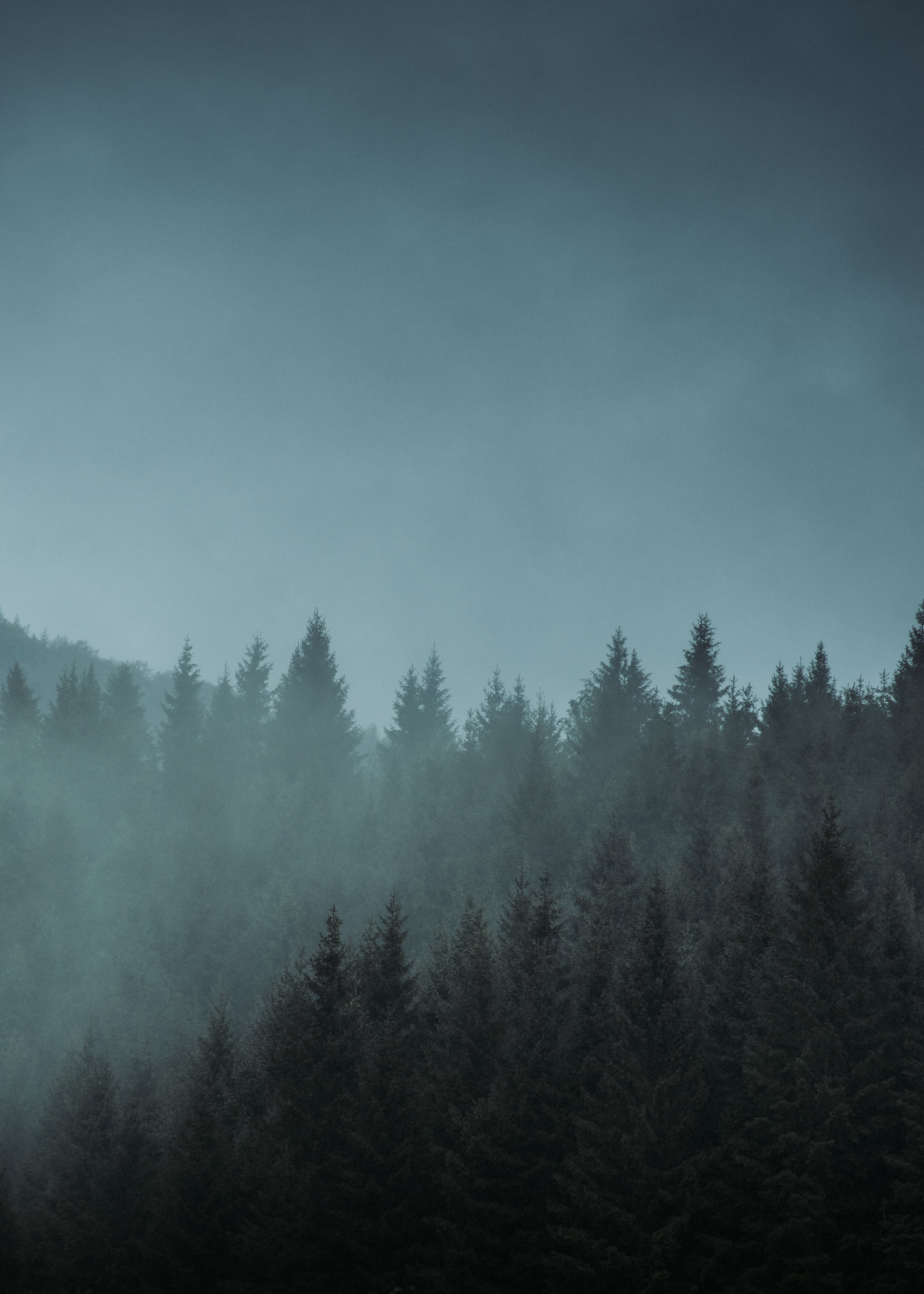 Portfolio - Olle Nilsson Foto