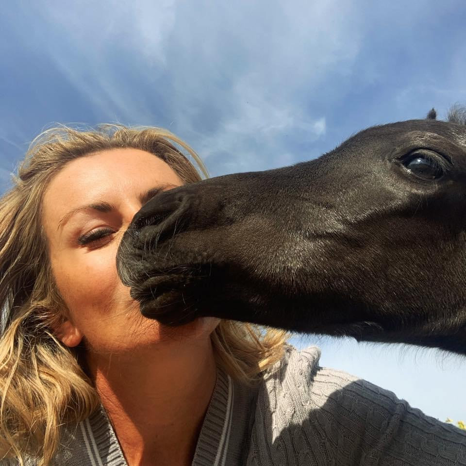 Contact - Kate Sheffield Photography