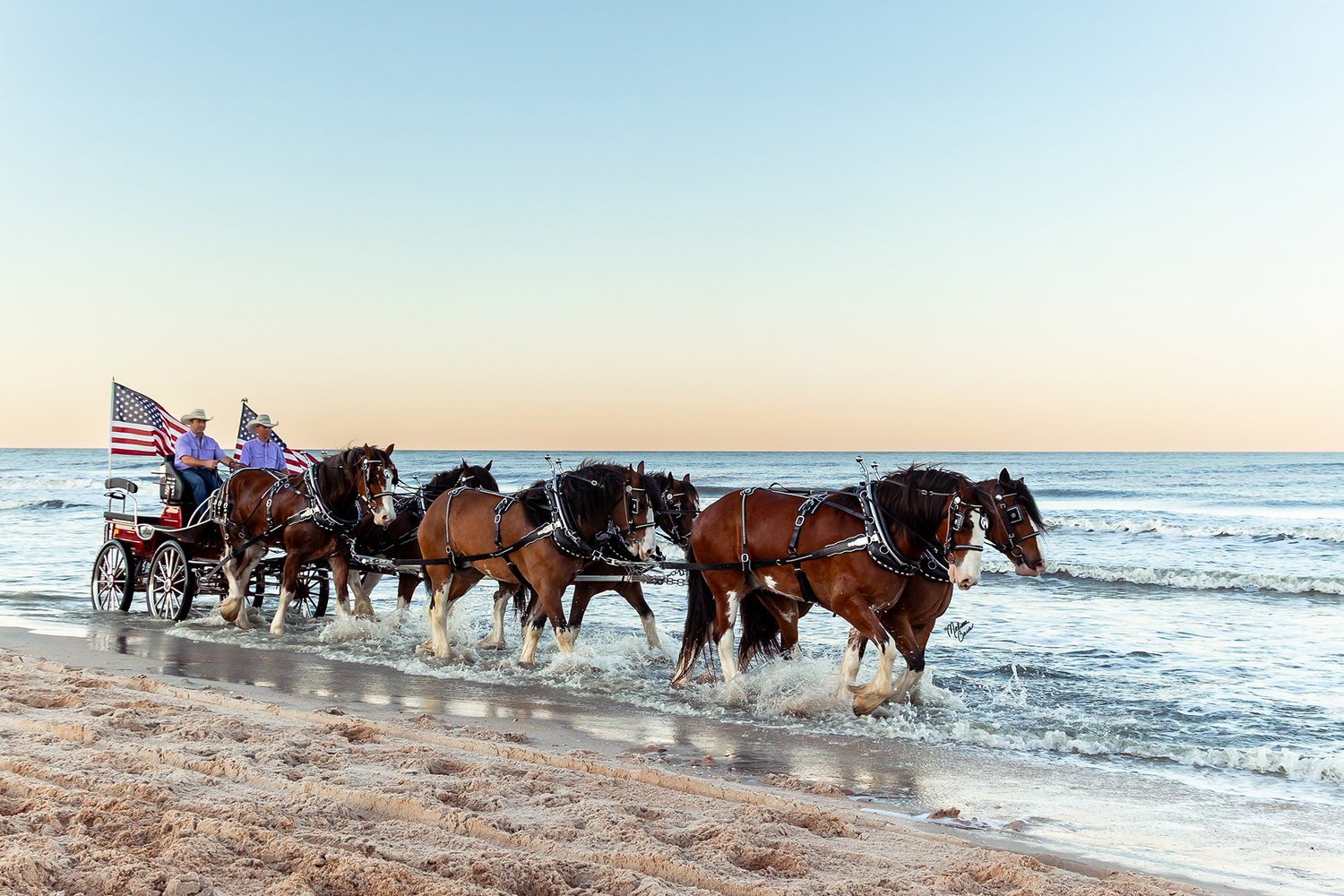 6 Horse Clydesdale Hitch on the Beach with Big Horse Ranch - Melissa ...