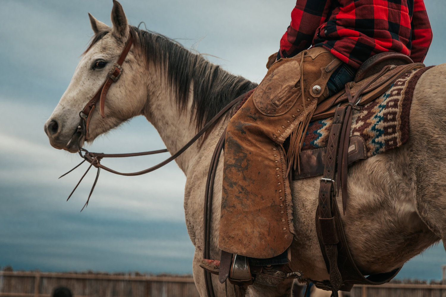badhorse creative