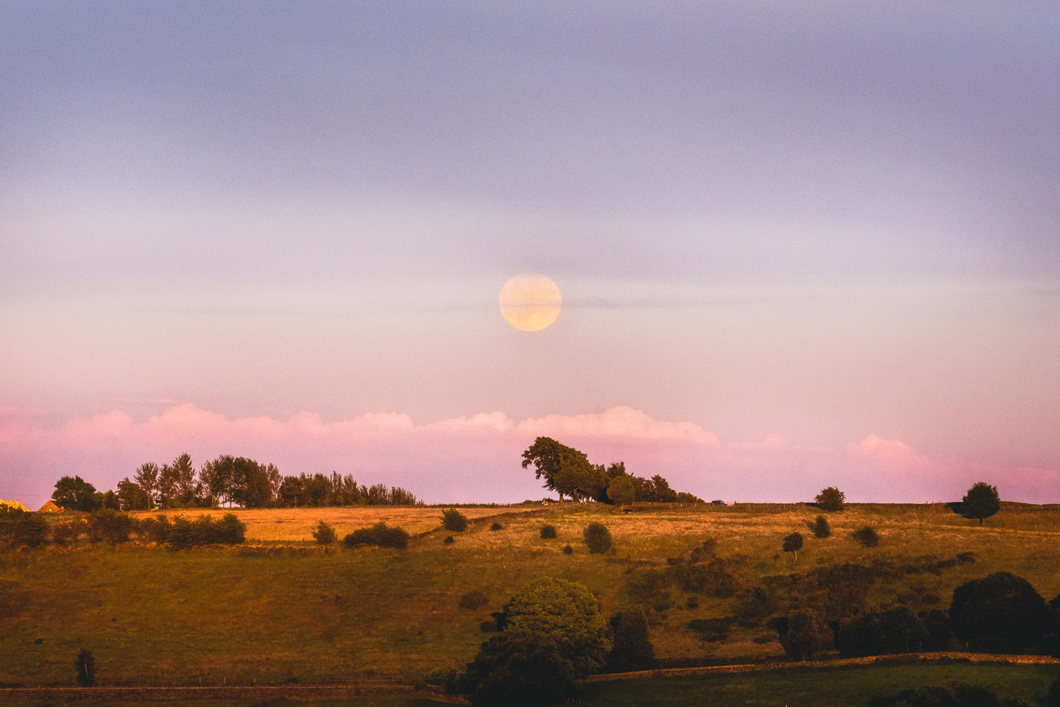 Sheffield - Photography by Daniel Cook