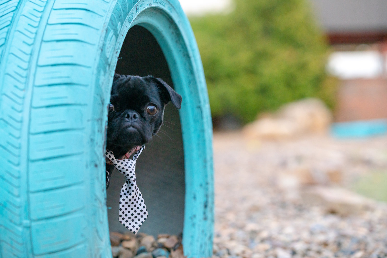 Humor is Healing - Alex Kent | Commercial Photographer | Educator ...