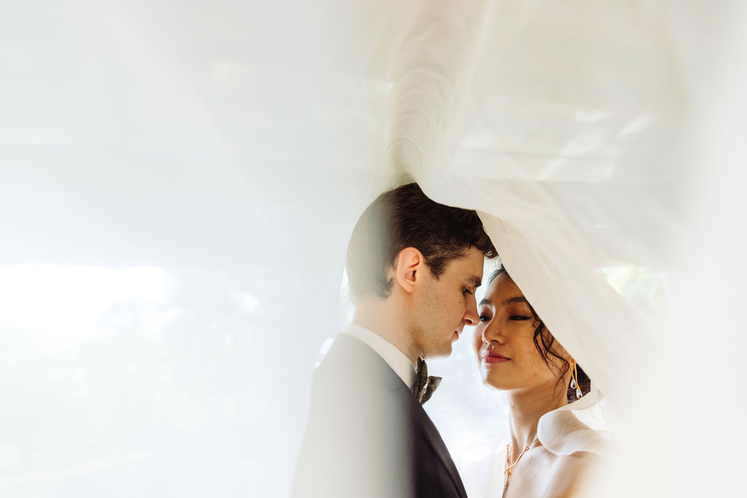 Isabella & Daniel / Bronx Zoo Wedding - Amy Haynes Photography ...