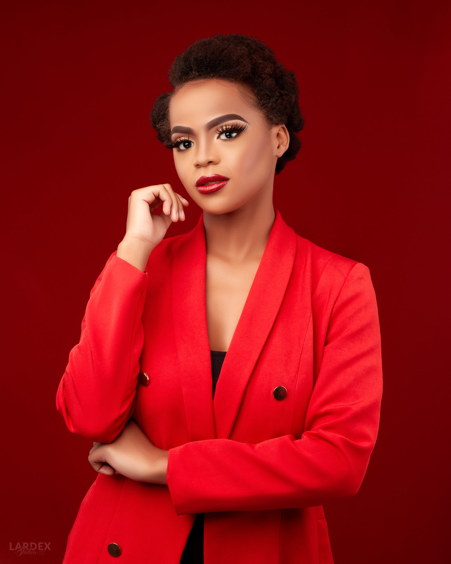 Portfolio - LARDEX MEDIA