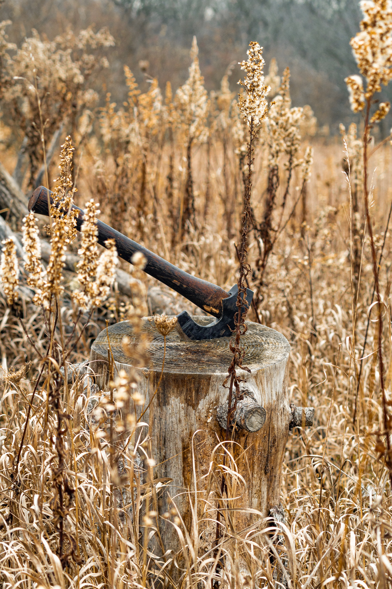 The Wonders of Fall Colors in Michigan: A Photographer’s Paradise ...