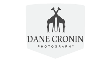 Architecture and Interior Design - Dane Cronin Photo