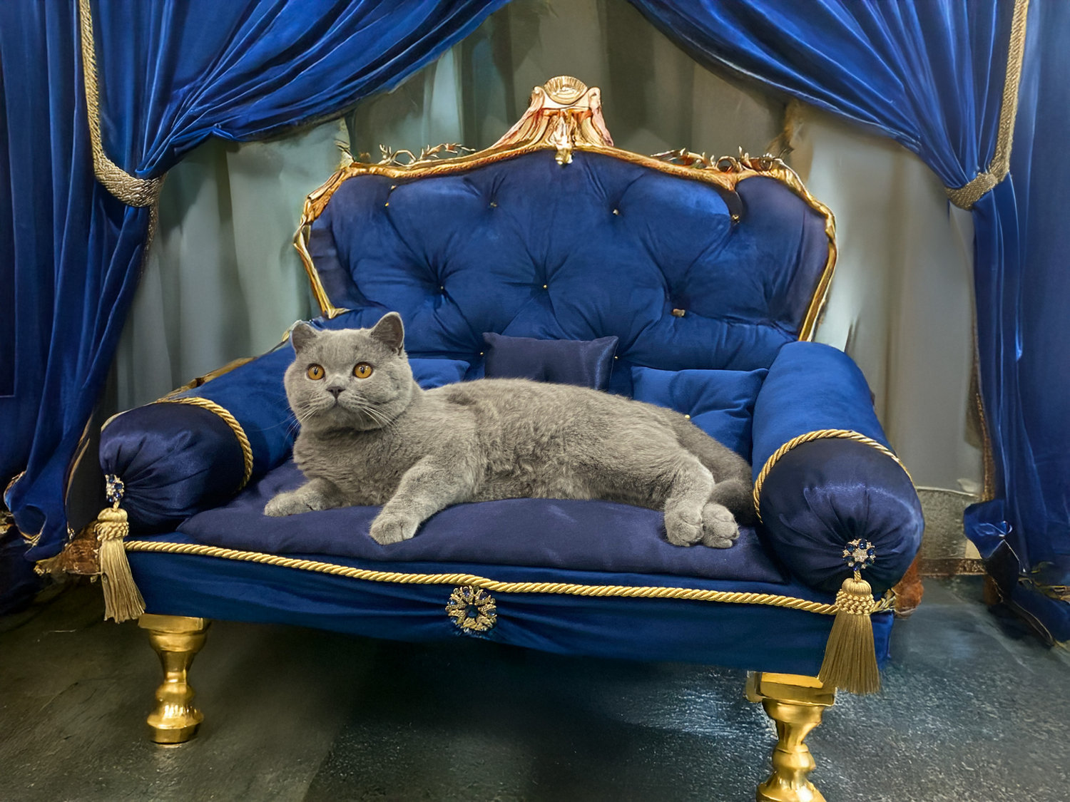 Best of British Cattery
