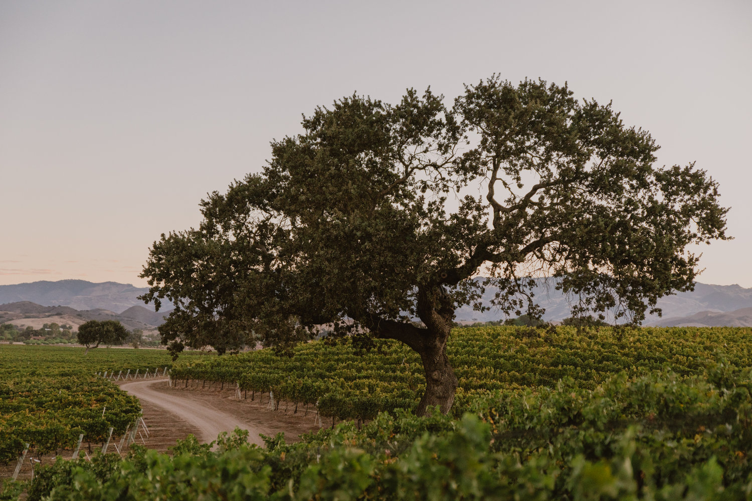 Contact - Craft & Cluster