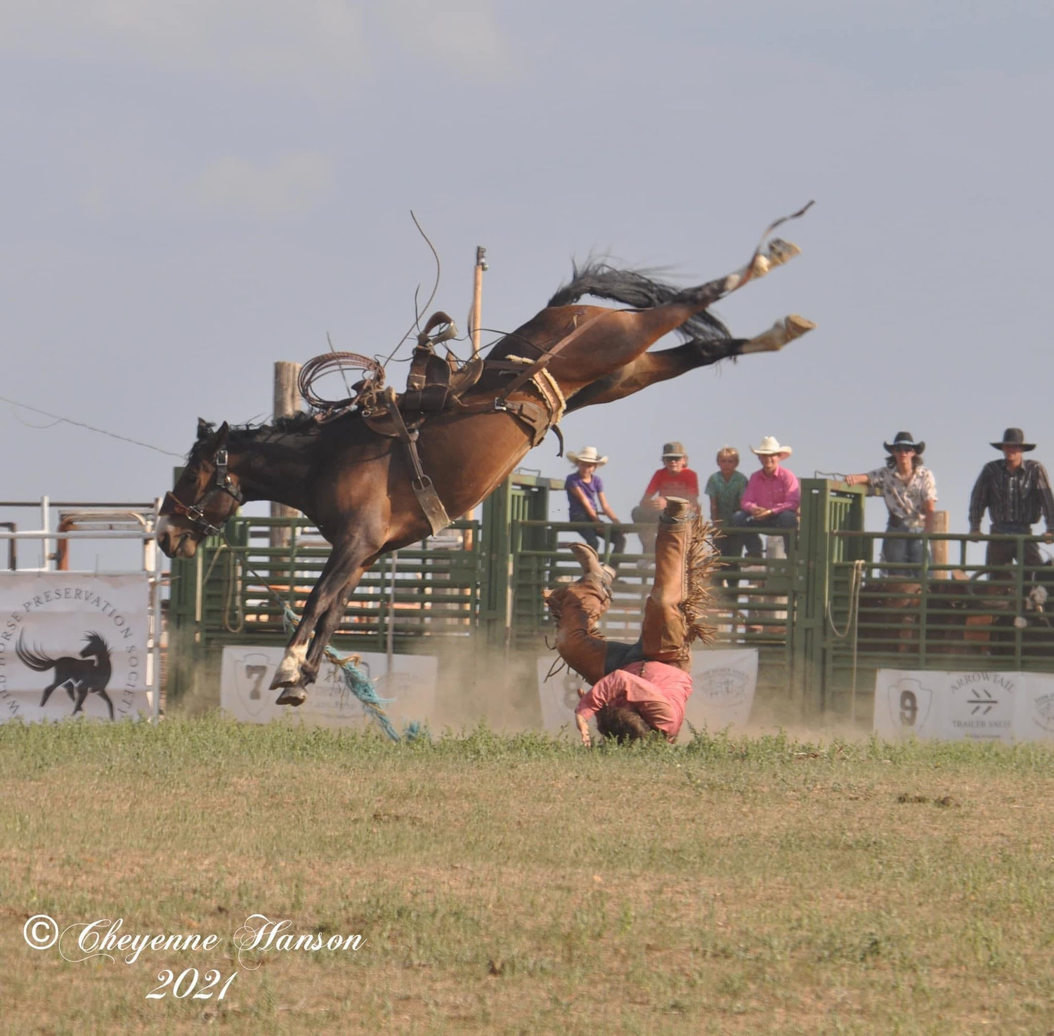 Home - Cheyenne Hanson Photography