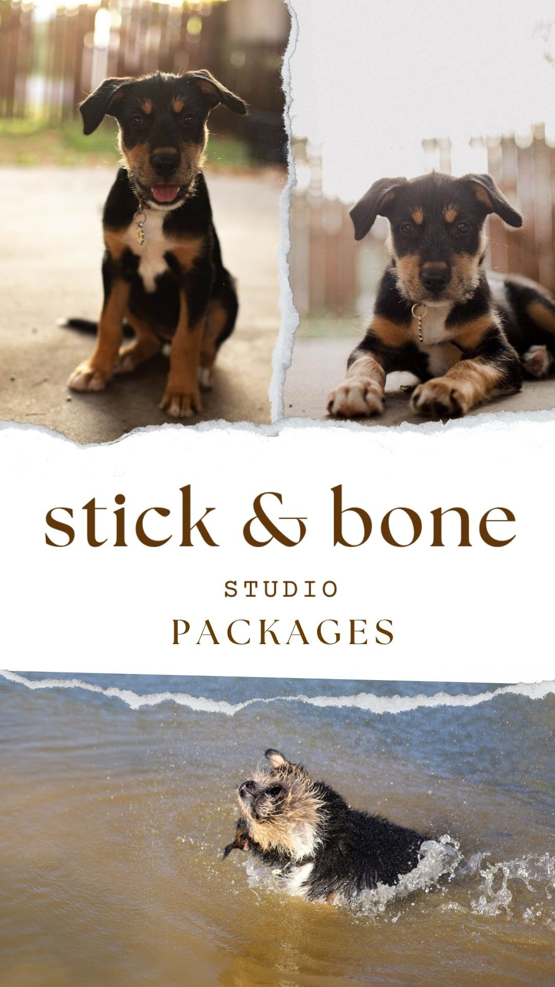 Investment & Packages - Stick & Bone Studio