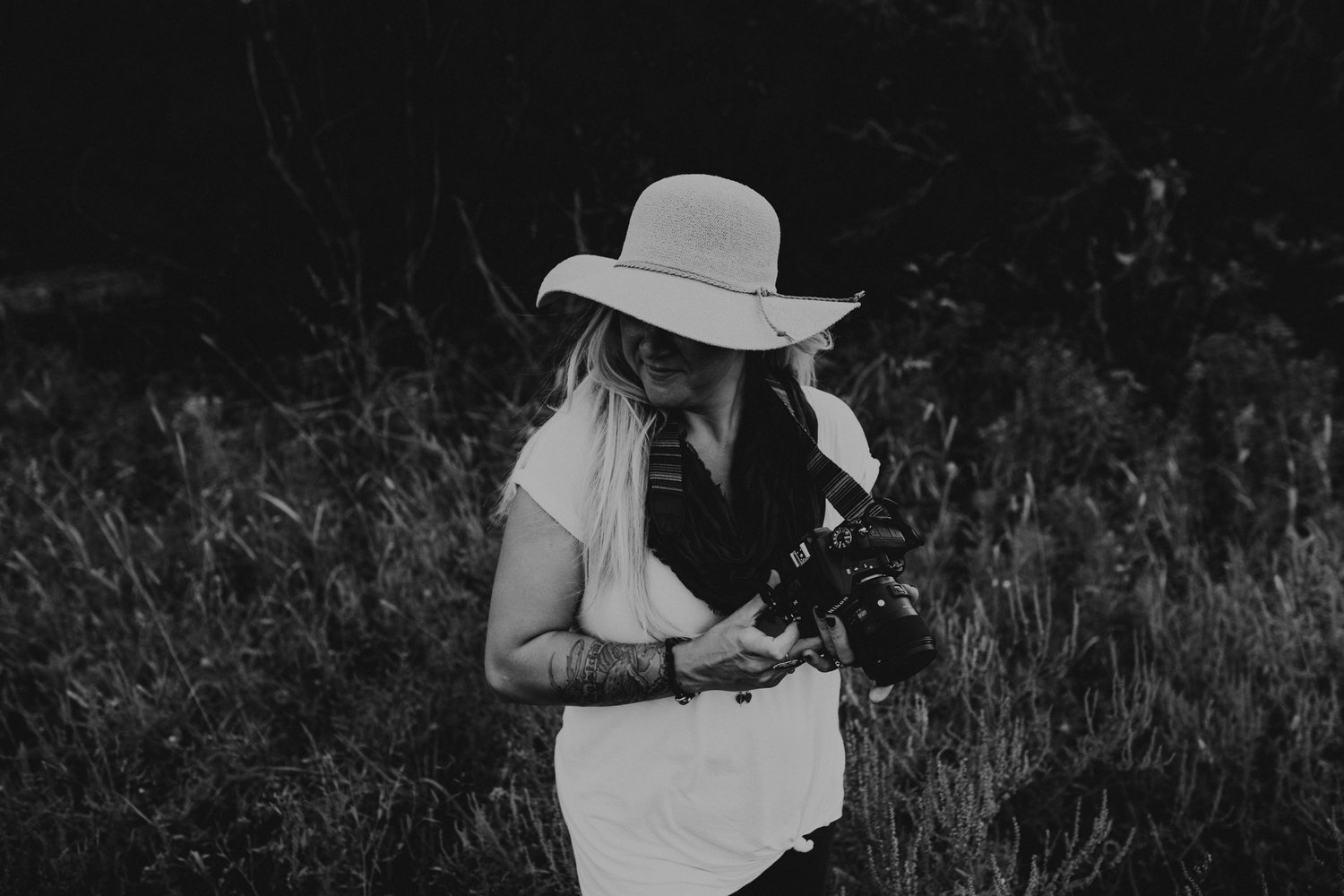 Tailored Story Telling - Buffalo, NY Dog & Pet Photographer | Tailor ...